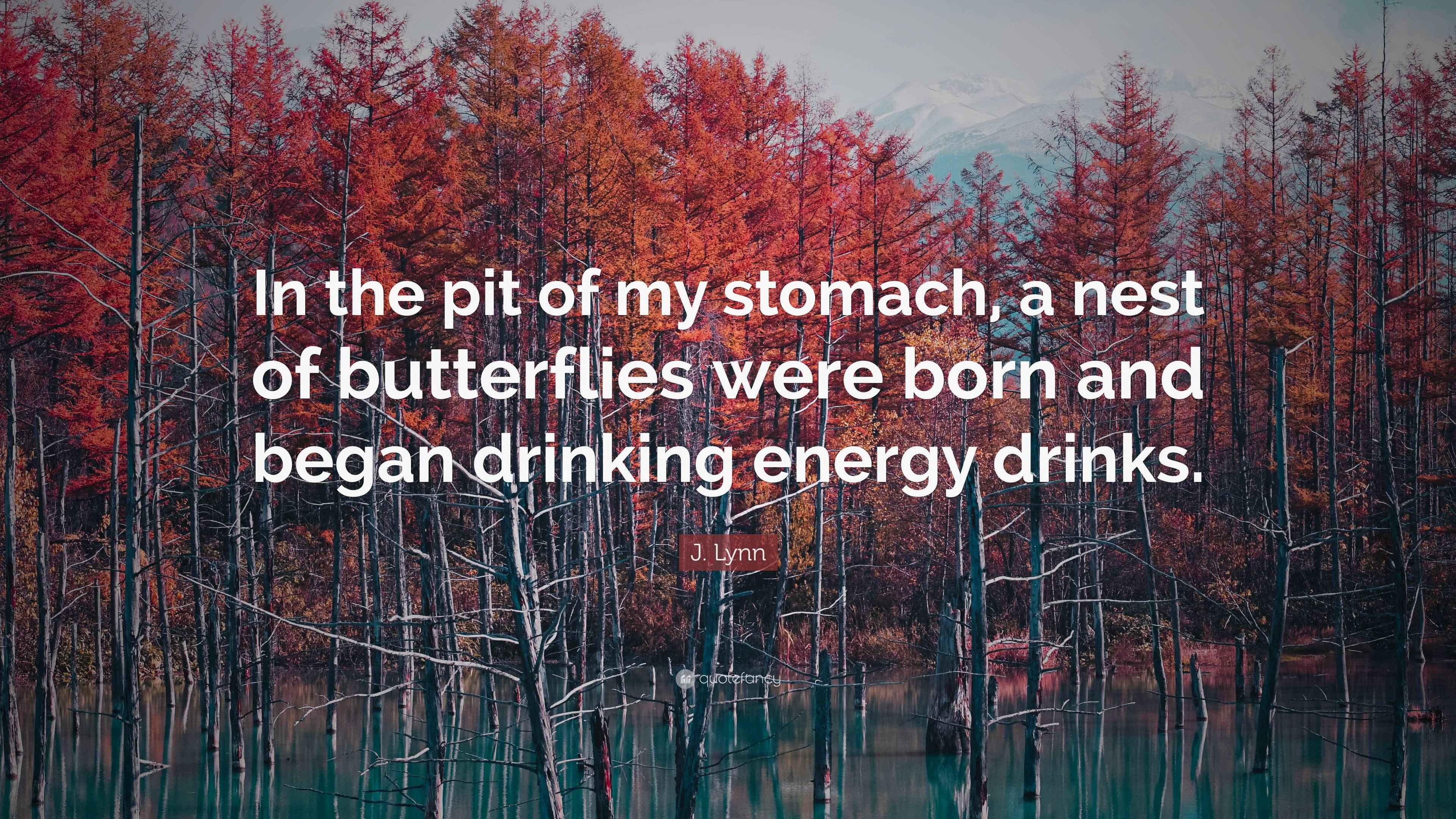 J. Lynn Quote: “In the pit of my stomach, a nest of butterflies were ...