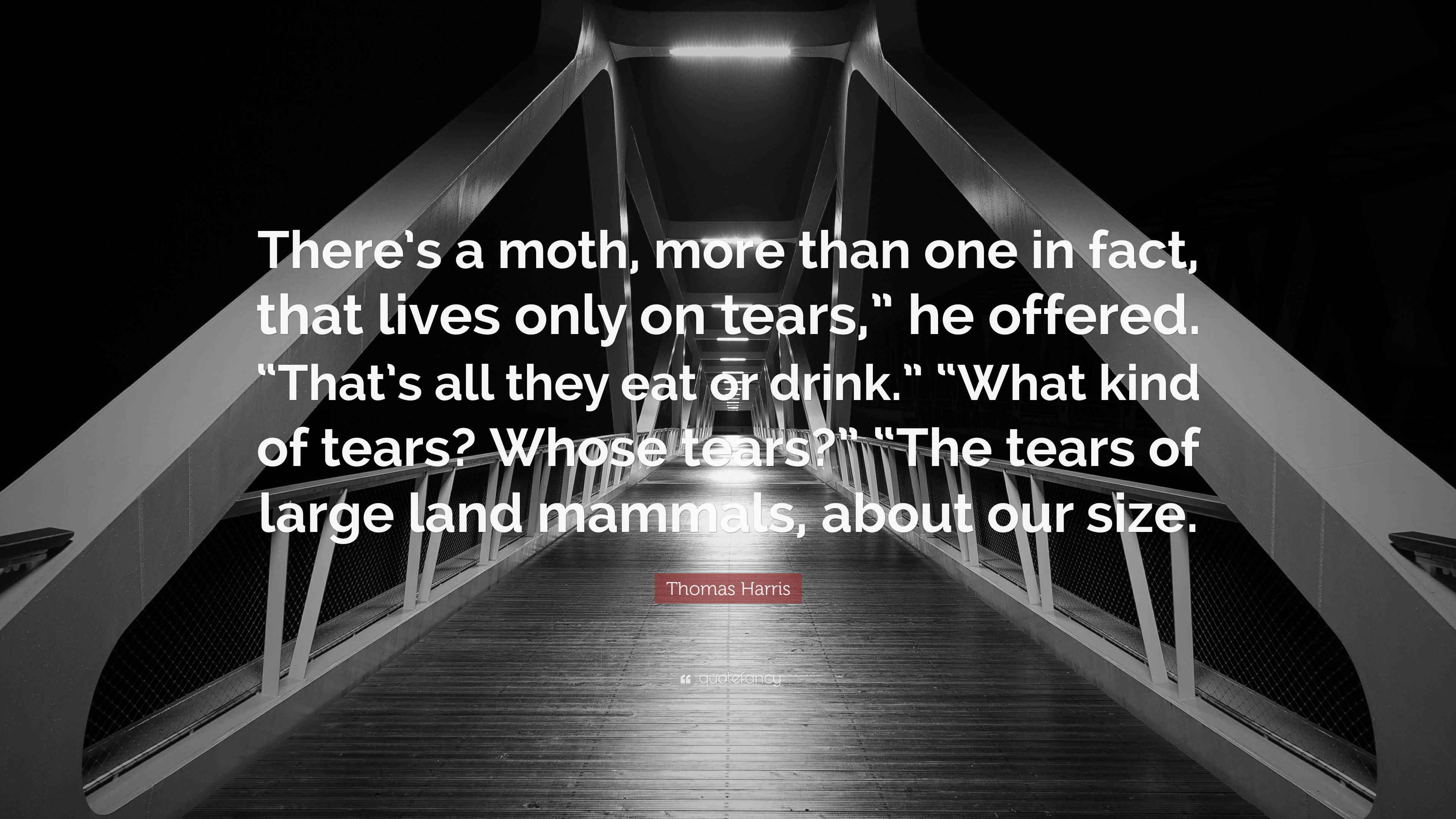 Thomas Harris Quote: “There’s a moth, more than one in fact, that lives ...