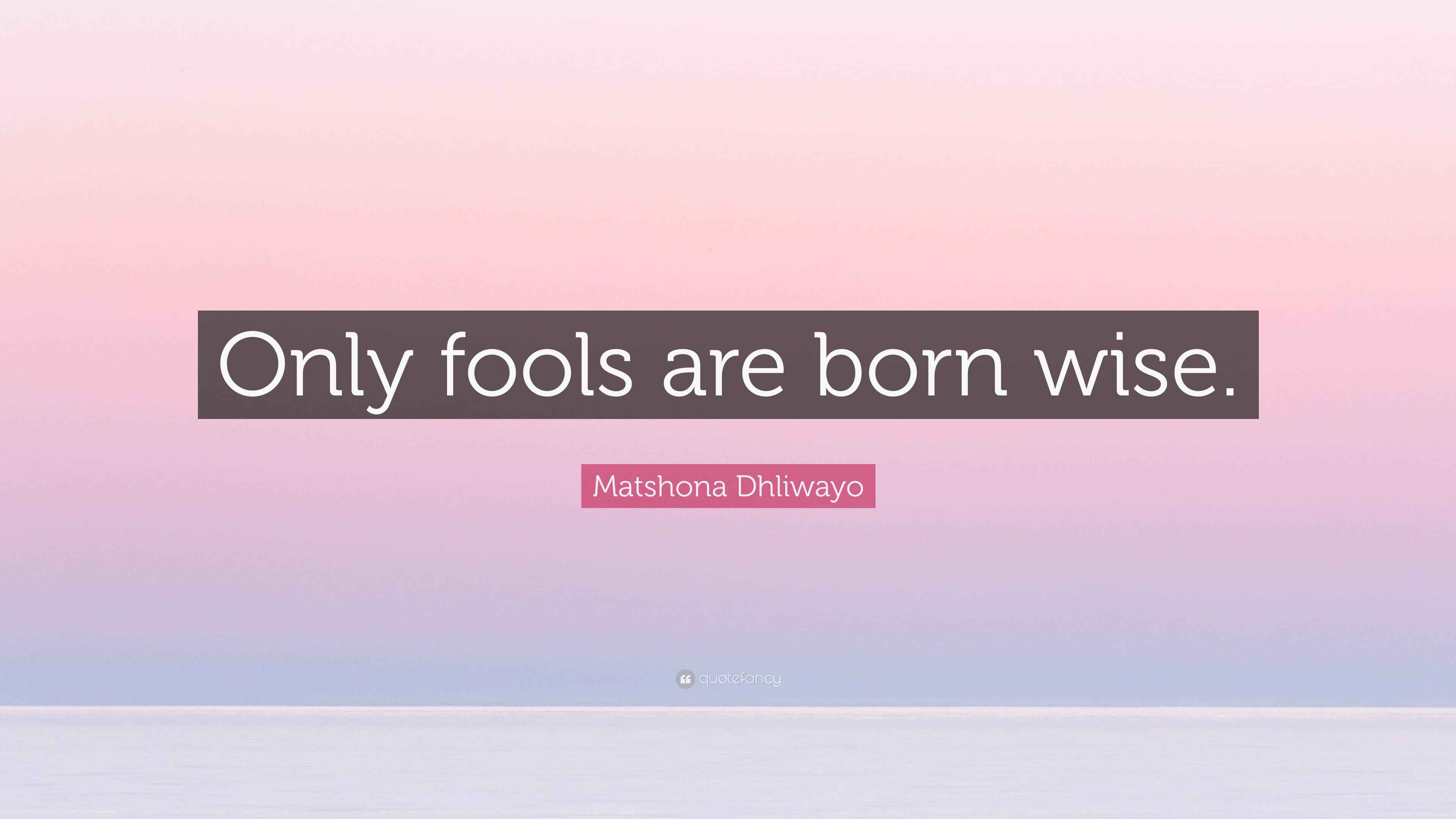 Matshona Dhliwayo Quote: “Only fools are born wise.”
