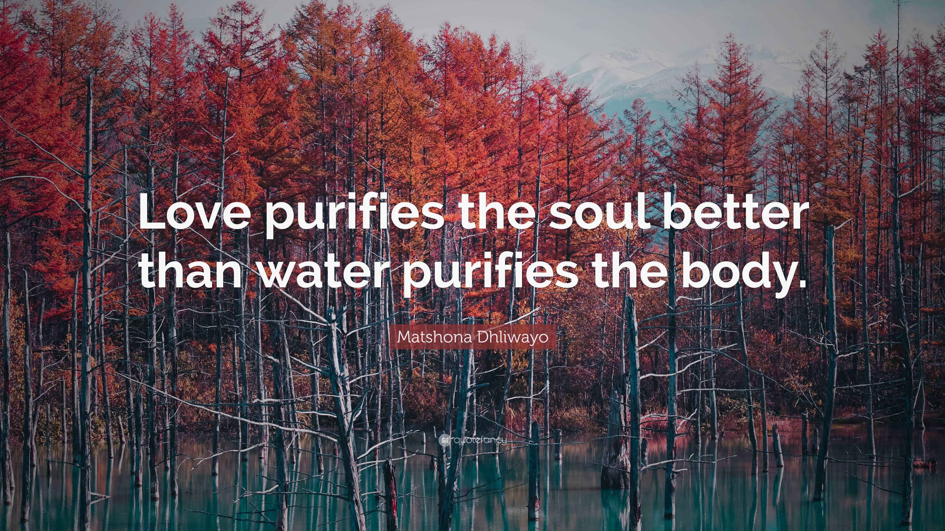 Matshona Dhliwayo Quote: “Love purifies the soul better than water ...