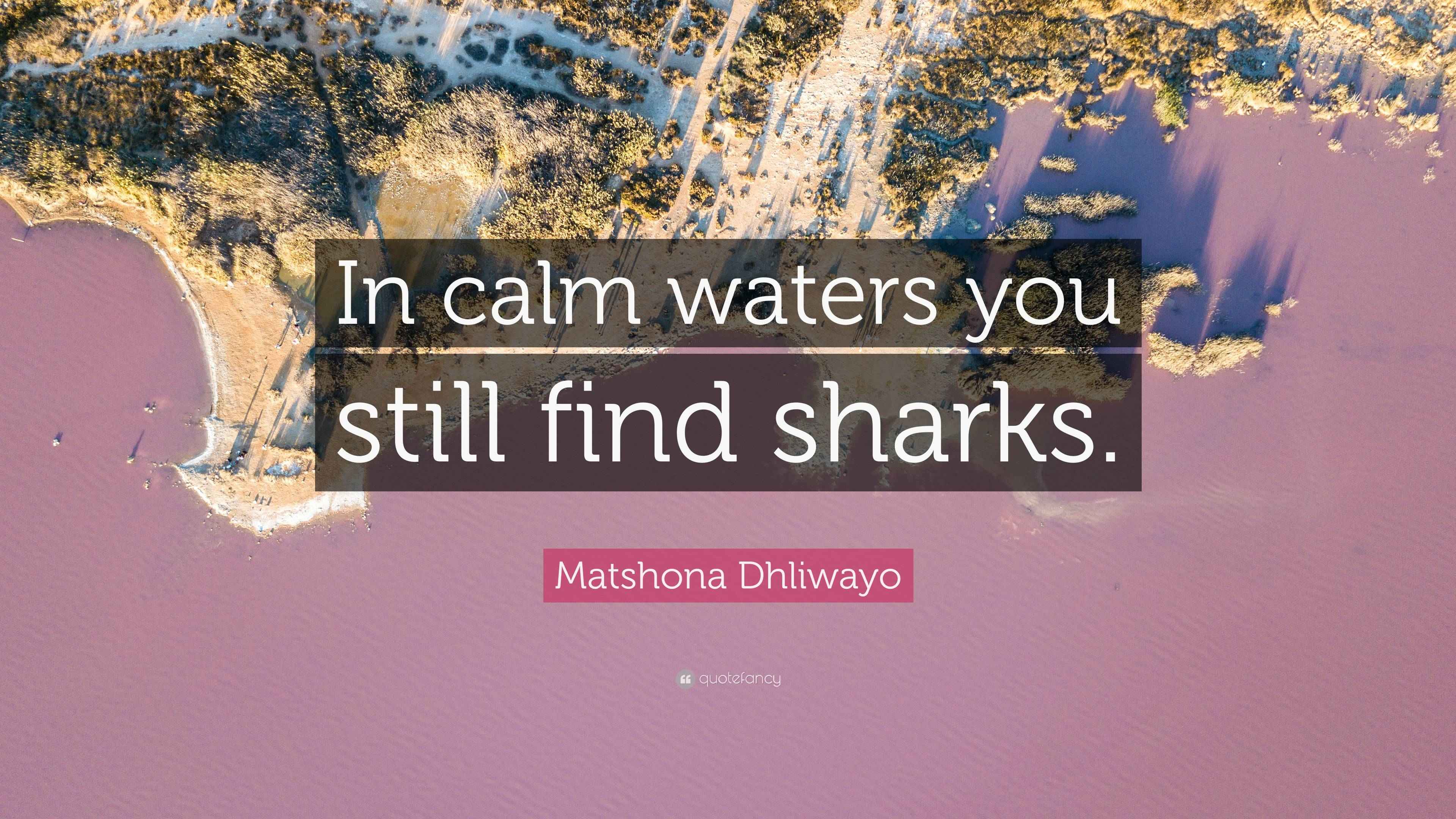 Matshona Dhliwayo Quote: “In calm waters you still find sharks.”