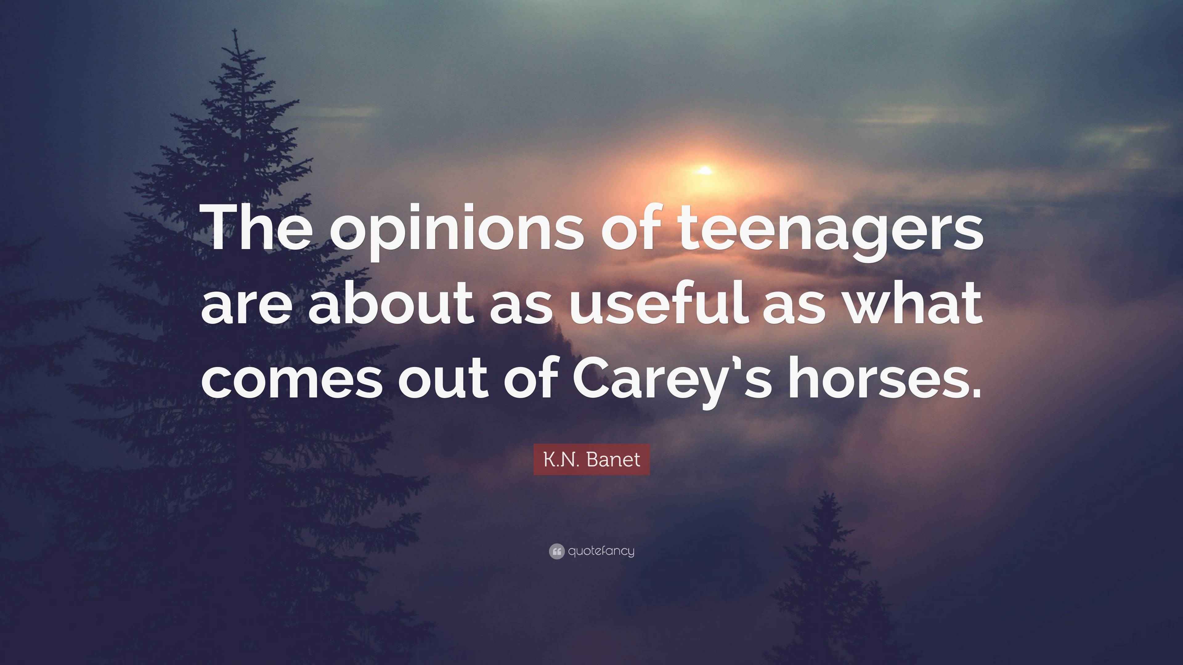 K.N. Banet Quote: “The opinions of teenagers are about as useful as ...
