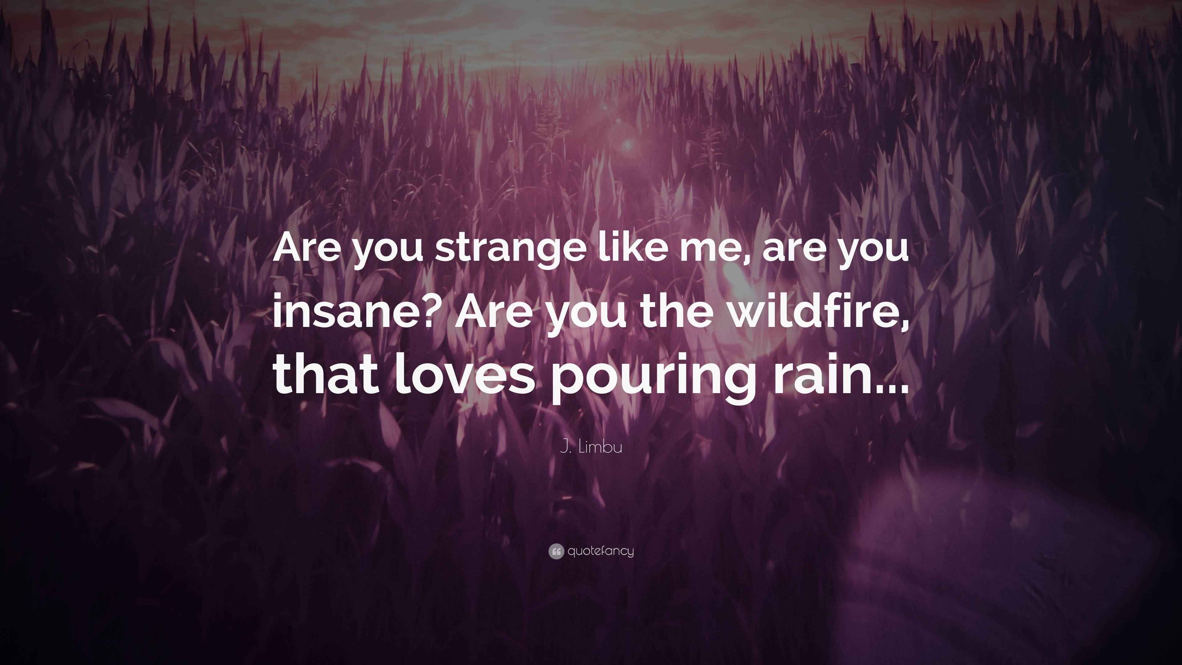 J. Limbu Quote: “Are you strange like me, are you insane? Are you the ...