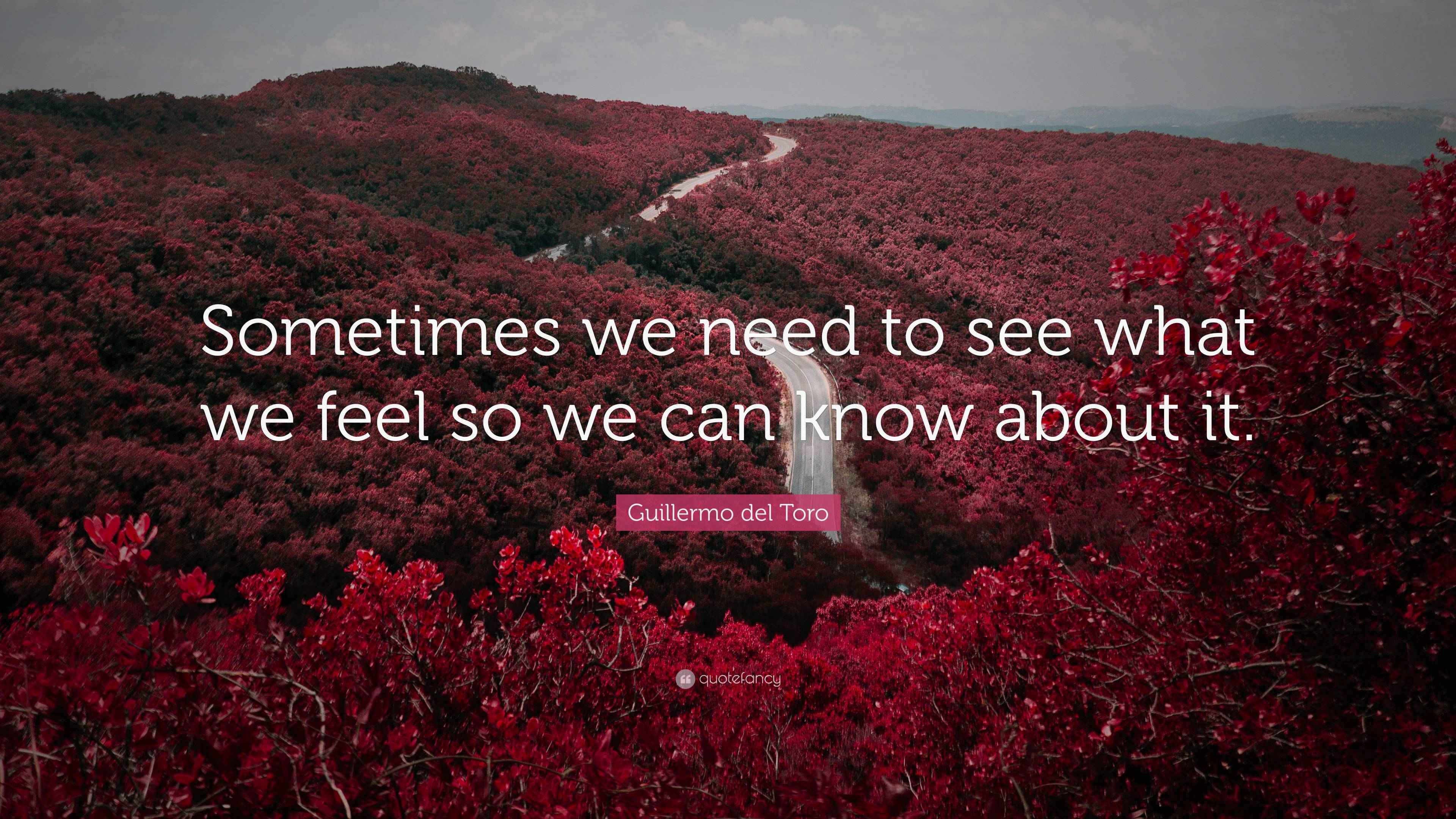 Guillermo del Toro Quote: “Sometimes we need to see what we feel so we ...