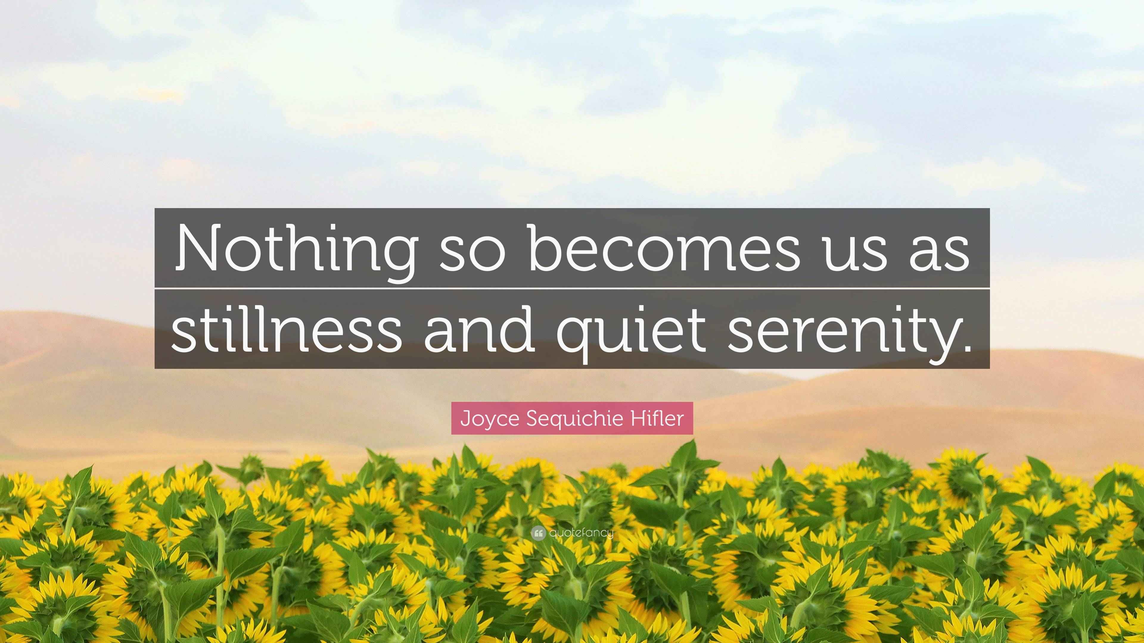 Joyce Sequichie Hifler Quote: “Nothing so becomes us as stillness and ...