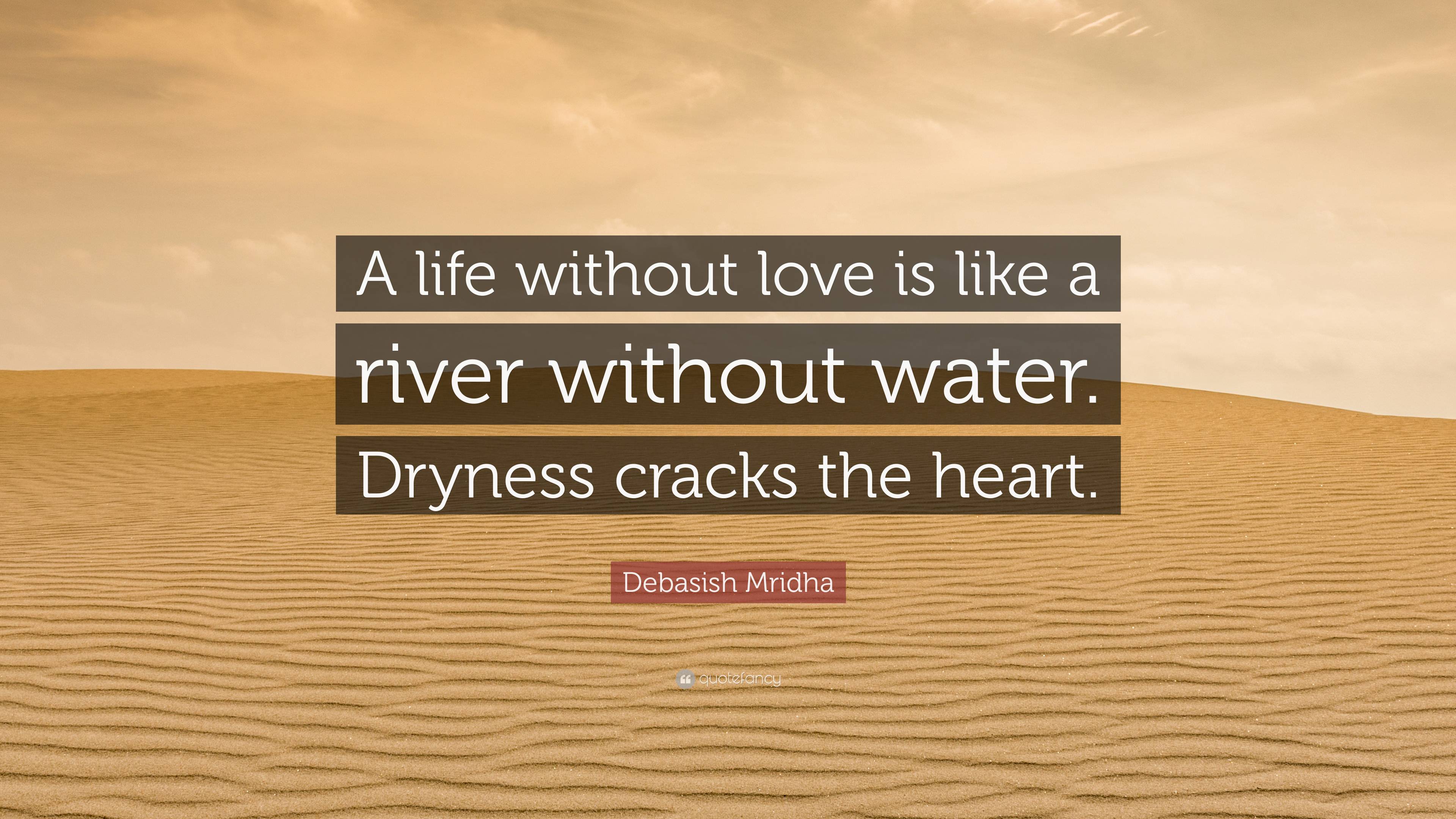 Debasish Mridha Quote: “A life without love is like a river without ...