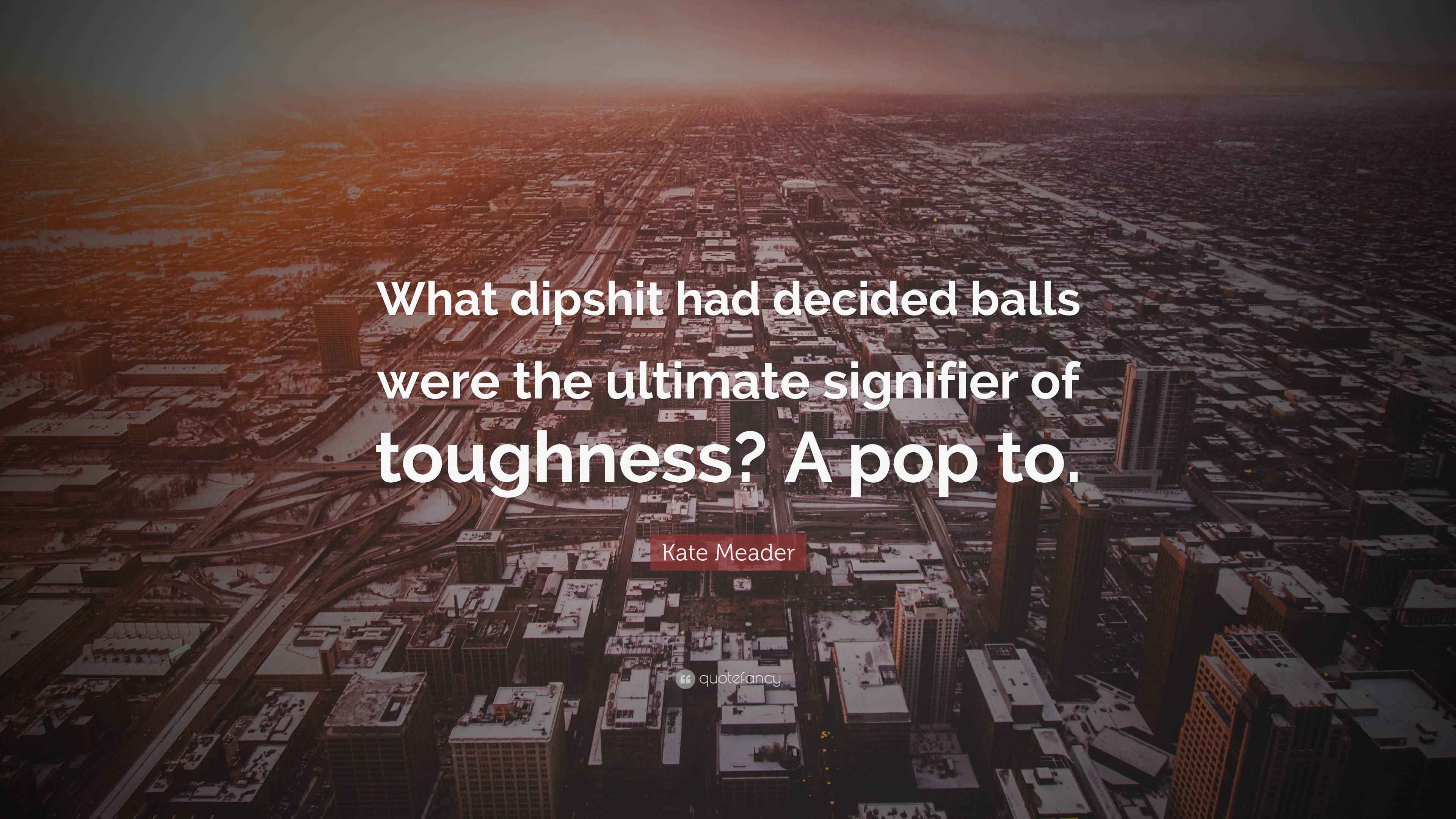 Kate Meader Quote: “What dipshit had decided balls were the ultimate ...