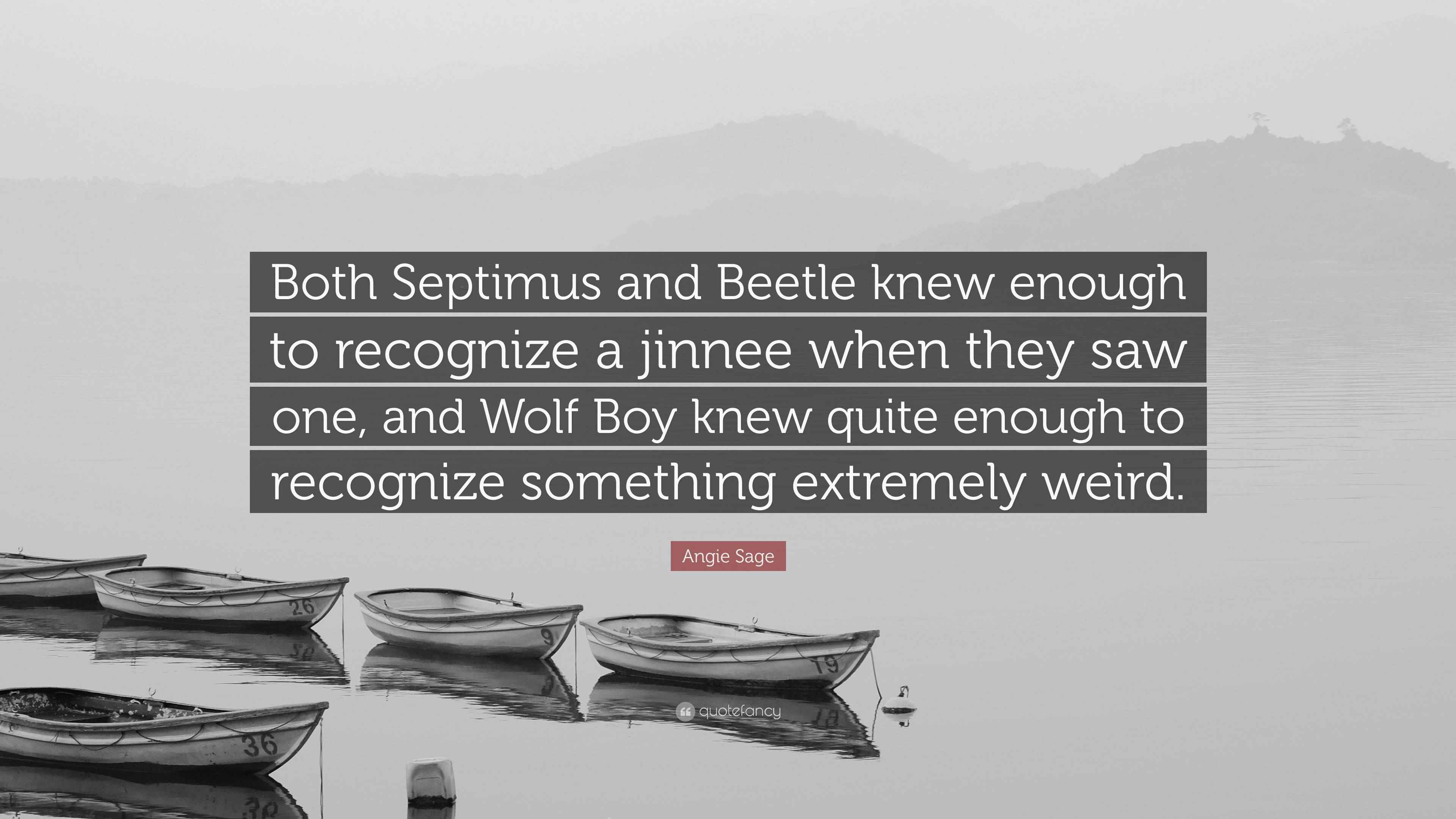 Angie Sage Quote: “Both Septimus and Beetle knew enough to recognize a ...