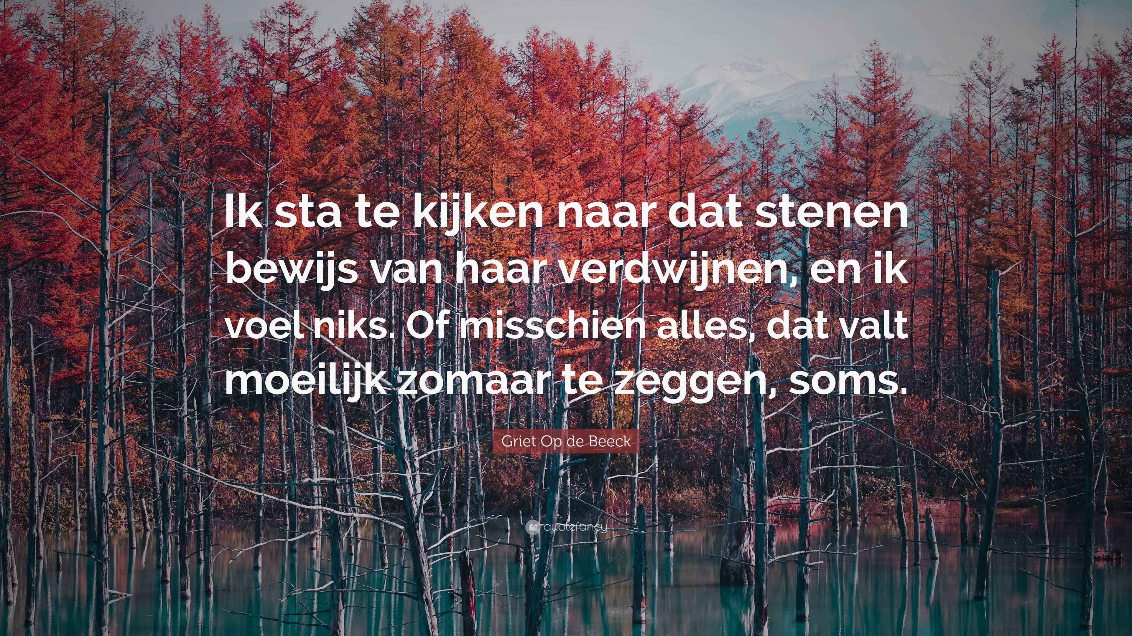 Griet Op de Beeck Quote: “Ik sta te kijken naar dat stenen bewijs van ...