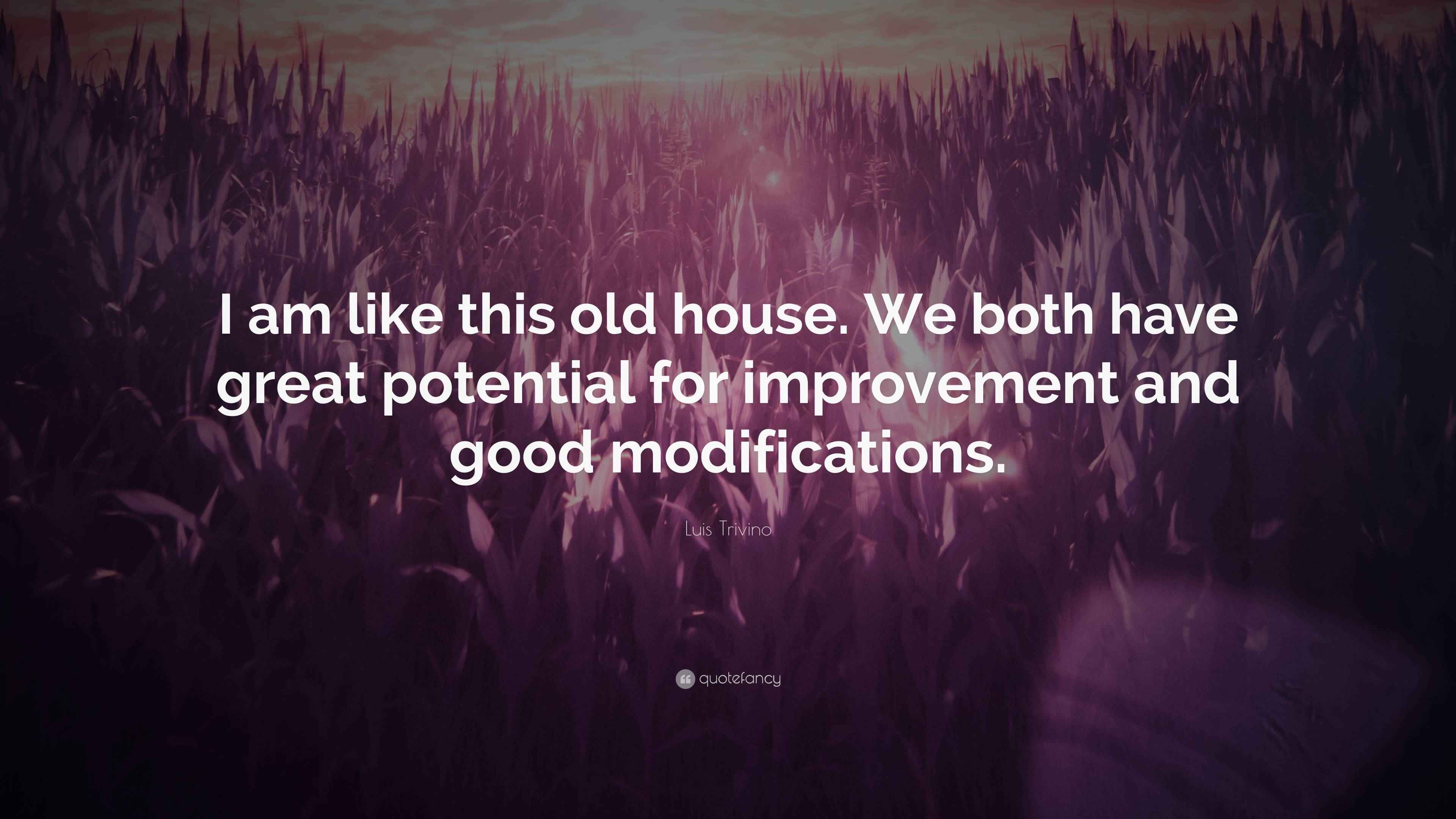 Luis Trivino Quote: “I am like this old house. We both have great ...