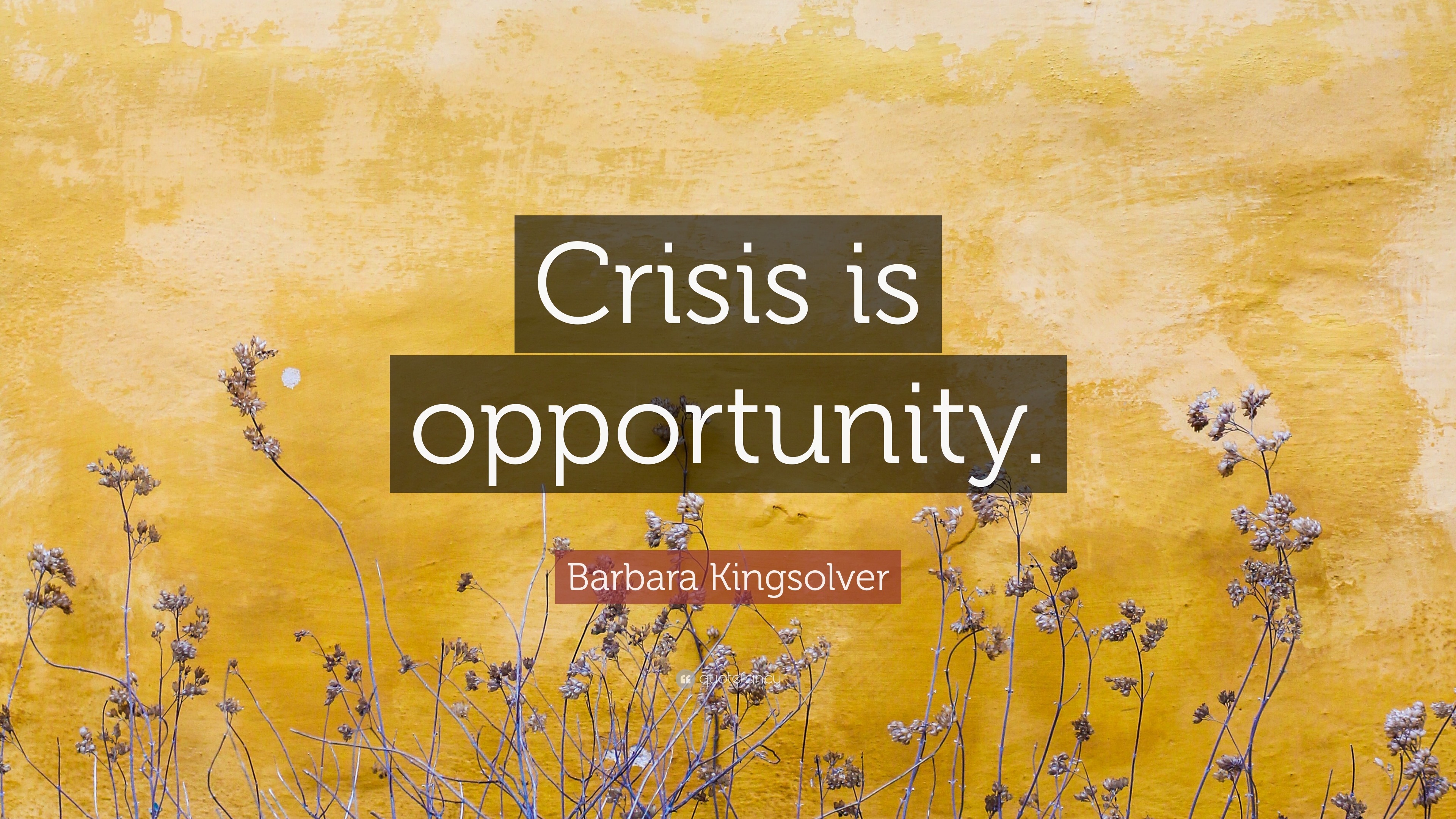 Barbara Kingsolver Quote: “Crisis is opportunity.”