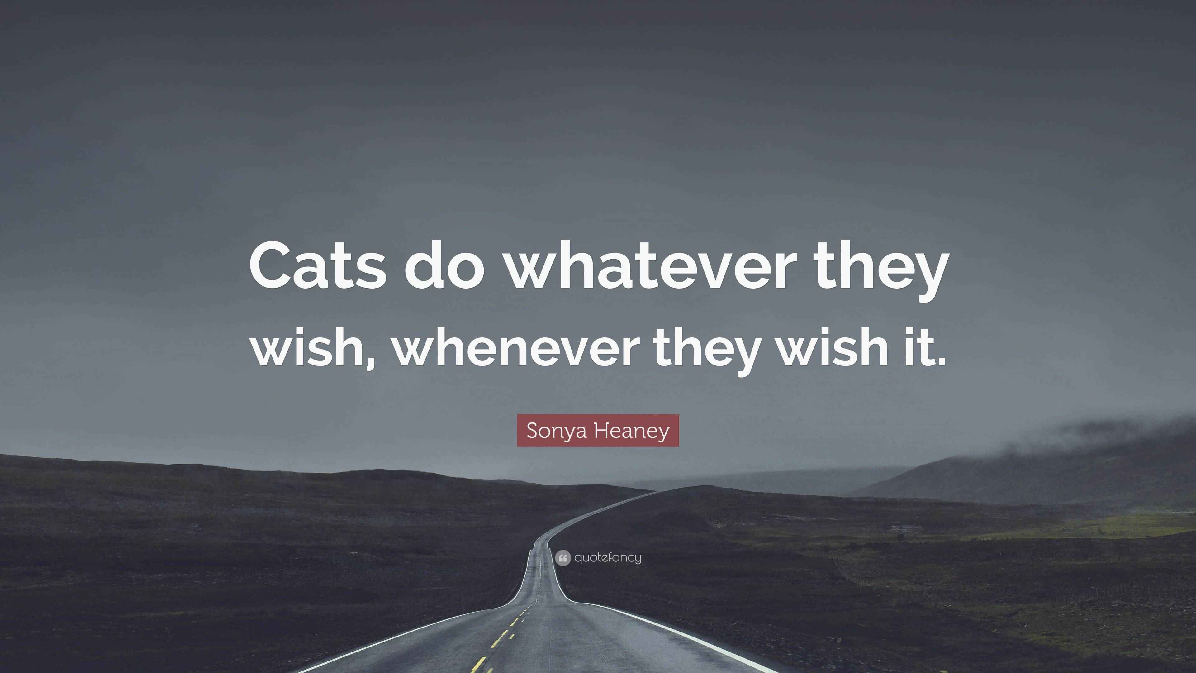 Sonya Heaney Quote: “Cats do whatever they wish, whenever they wish it.”