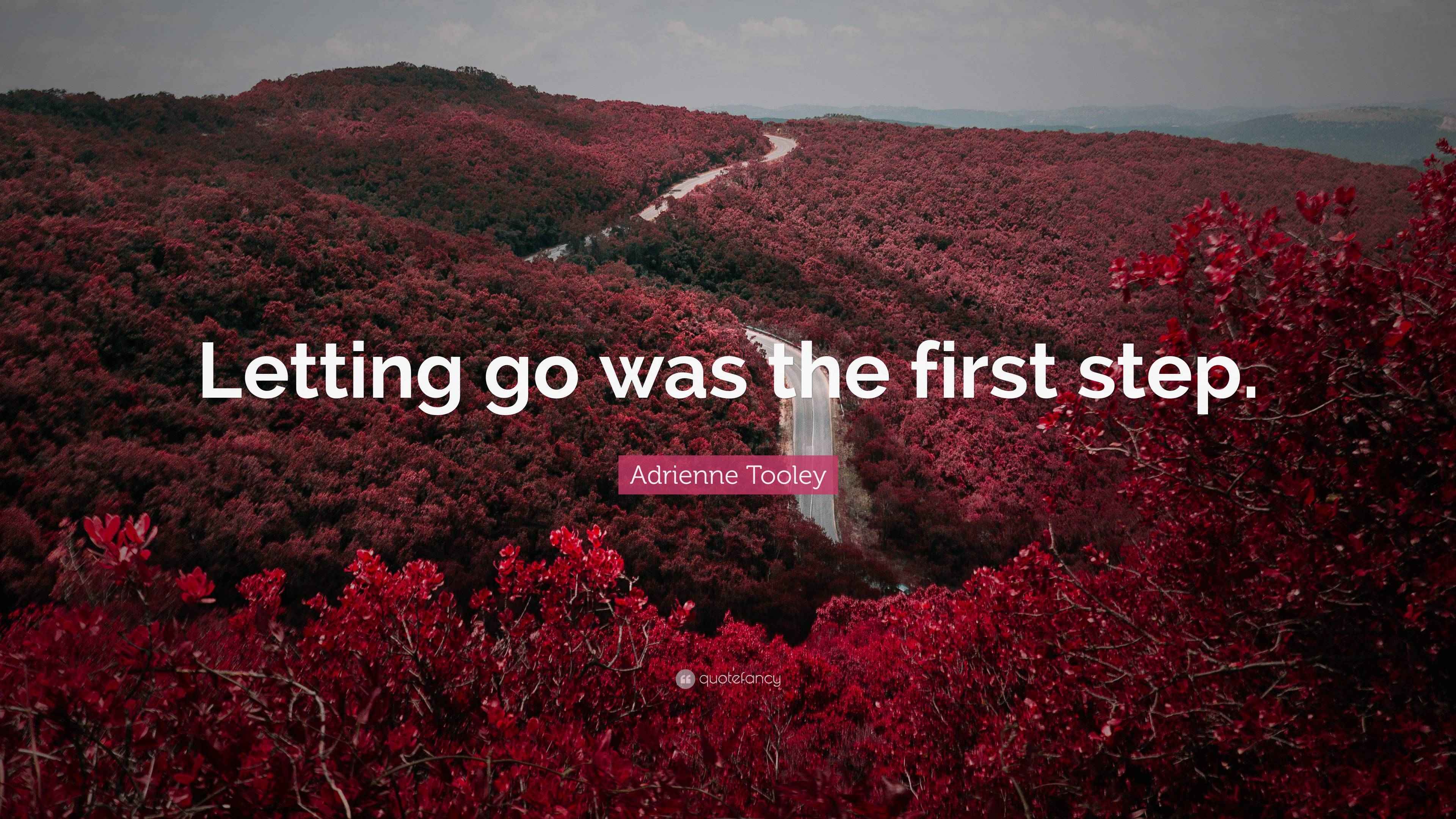 Adrienne Tooley Quote: “Letting go was the first step.”