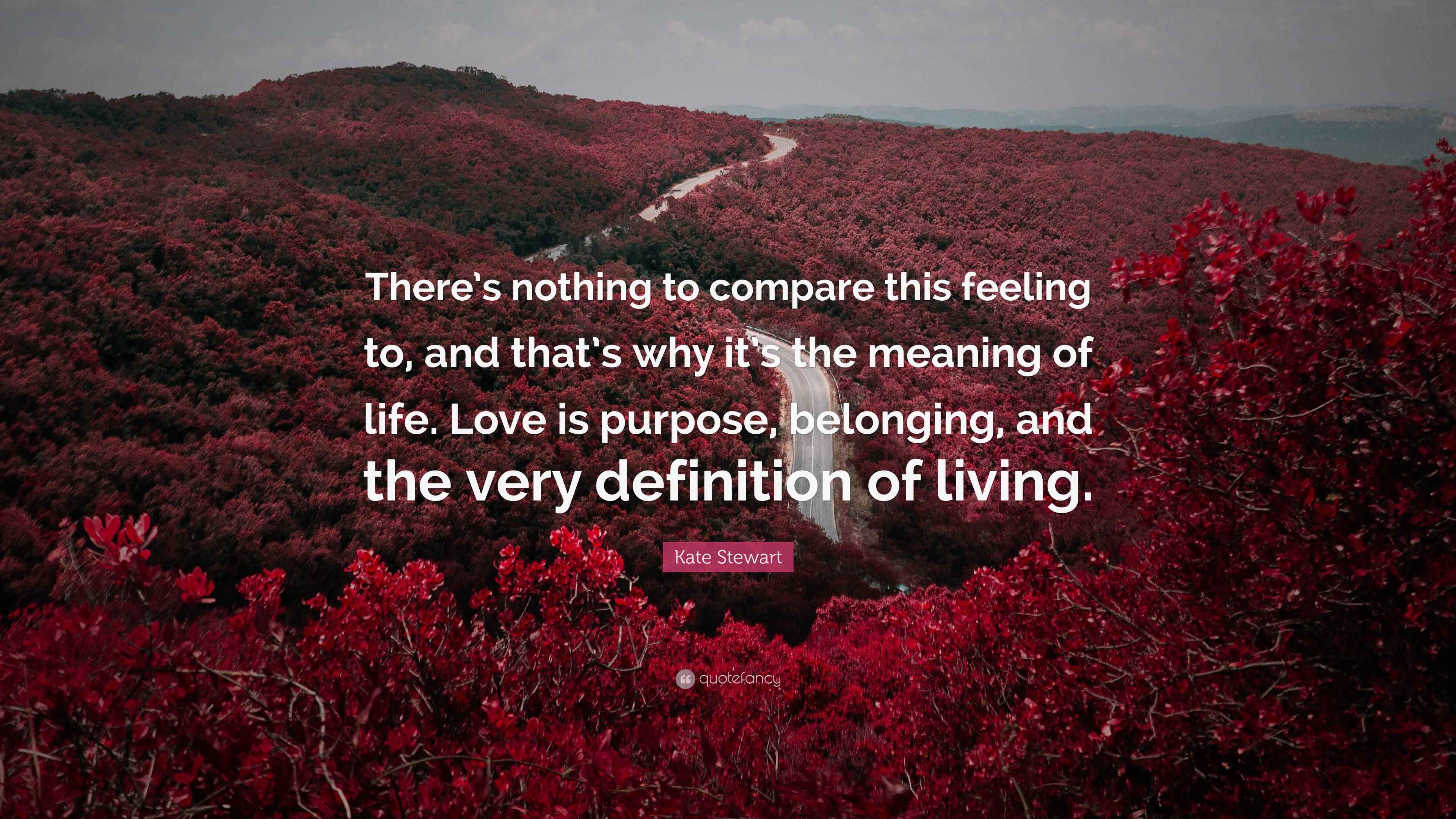 Kate Stewart Quote: “There’s nothing to compare this feeling to, and ...