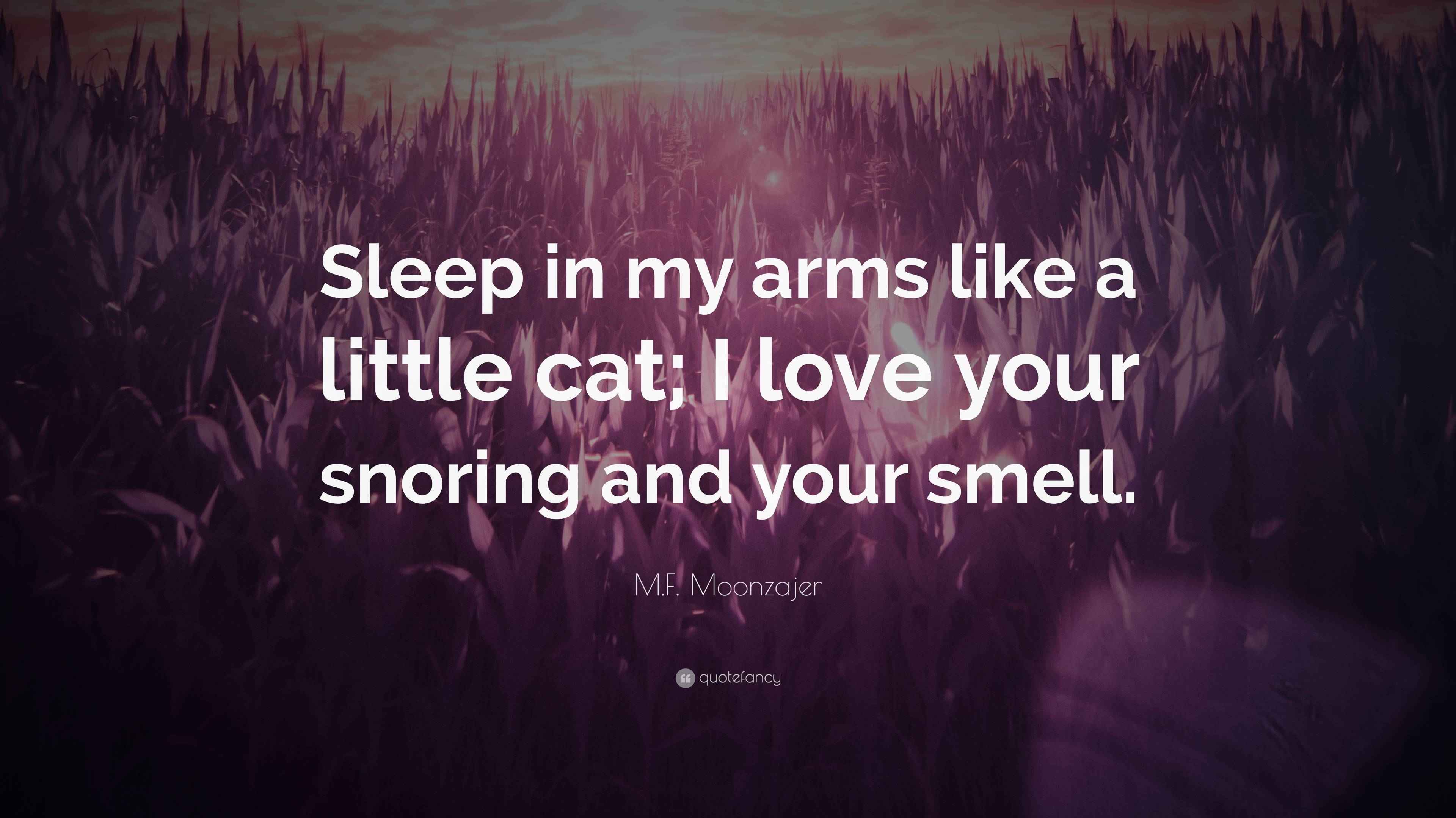 M.F. Moonzajer Quote: “Sleep in my arms like a little cat; I love your ...
