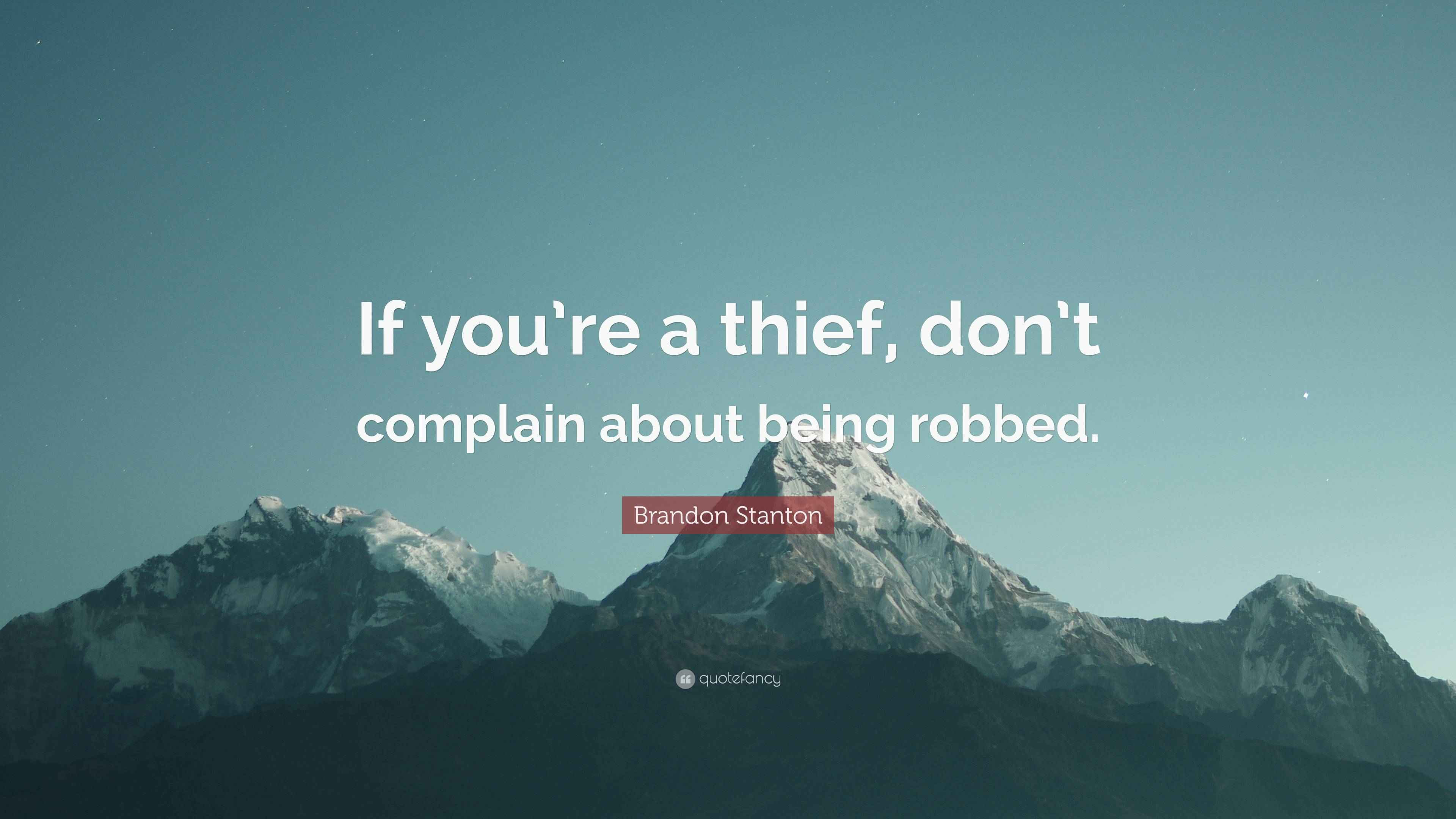 Brandon Stanton Quote: “If you’re a thief, don’t complain about being ...