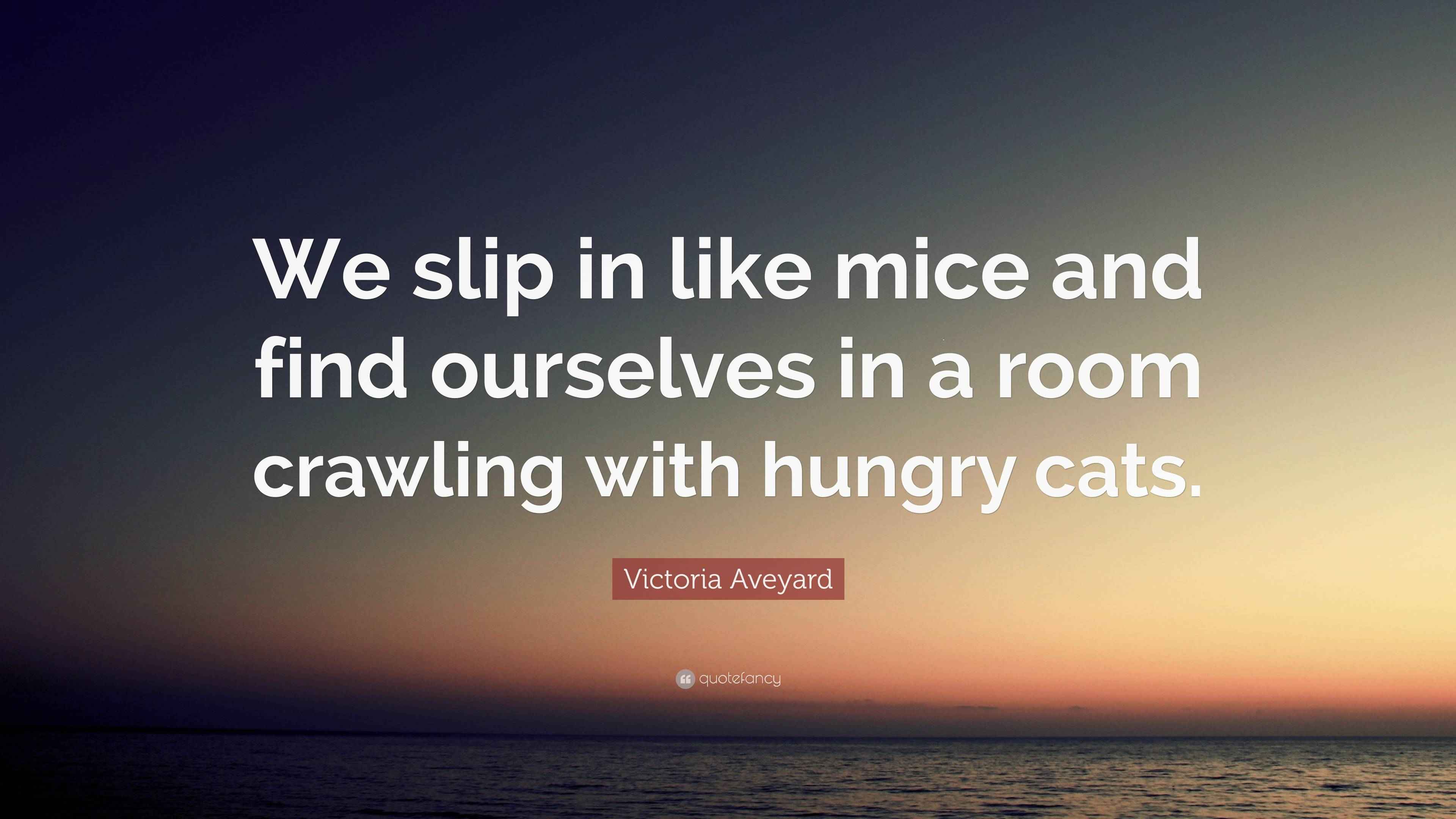 Victoria Aveyard Quote: “We slip in like mice and find ourselves in a ...