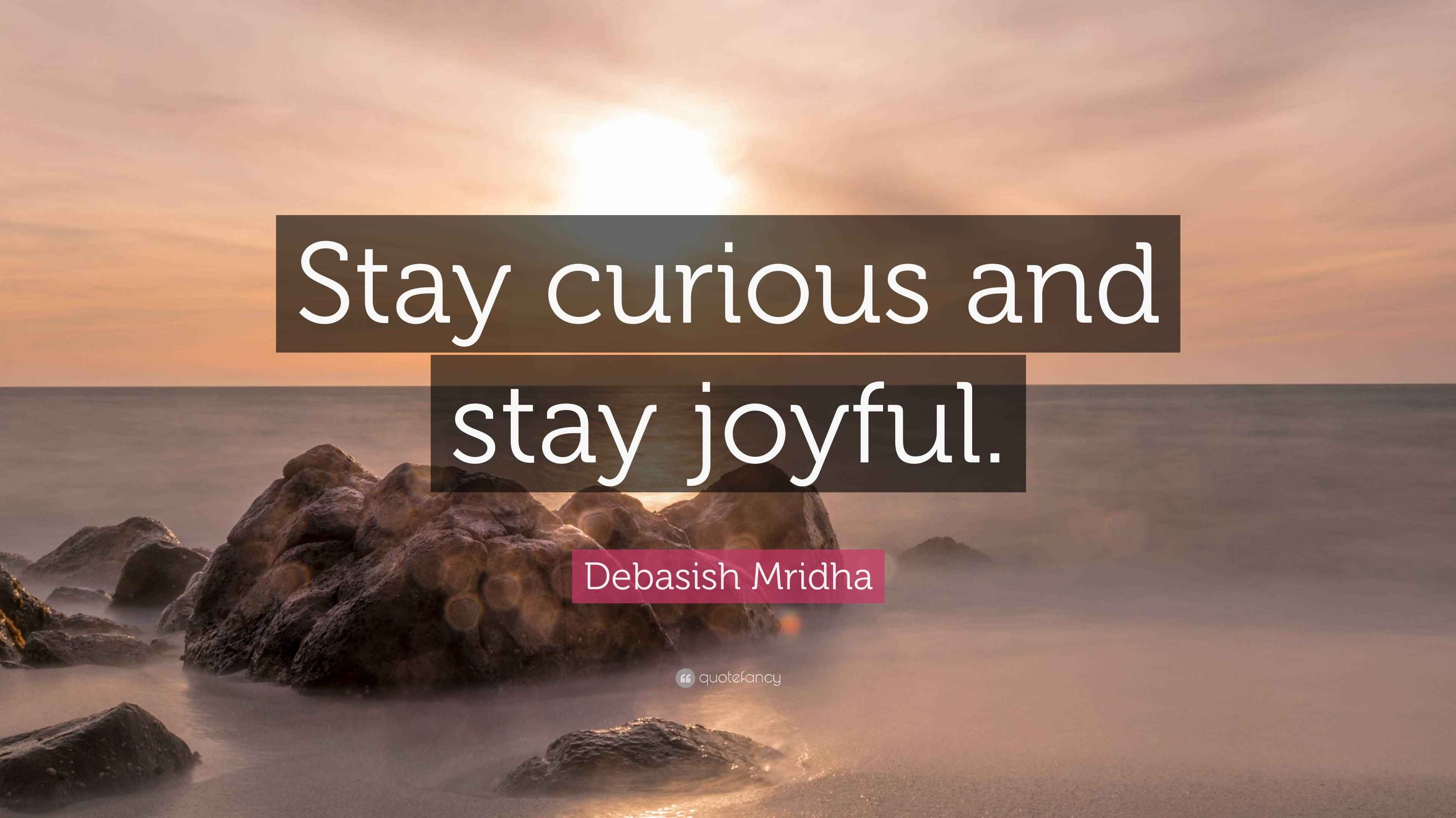 Debasish Mridha Quote: “Stay curious and stay joyful.”