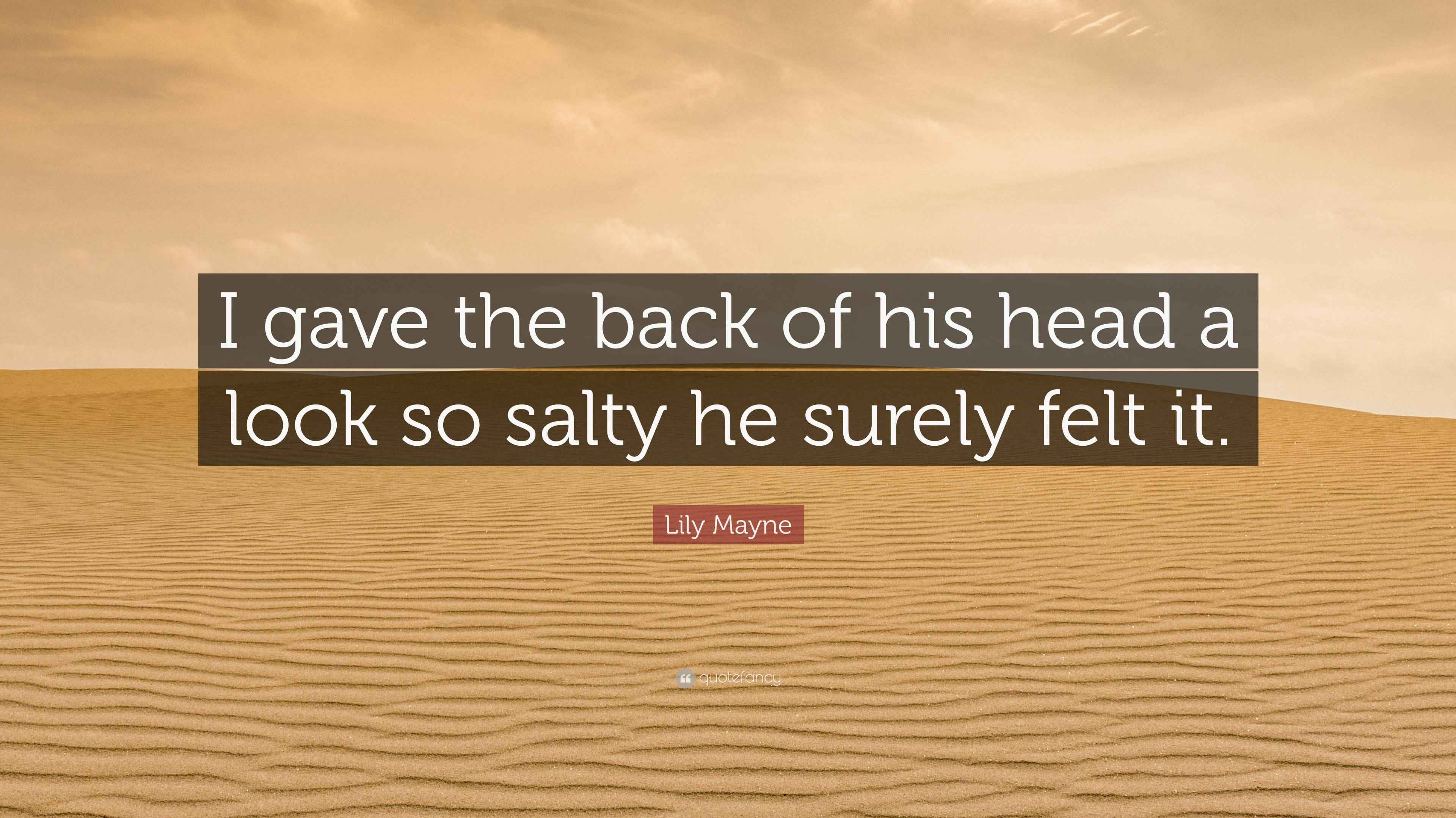 Lily Mayne Quote: “I gave the back of his head a look so salty he ...