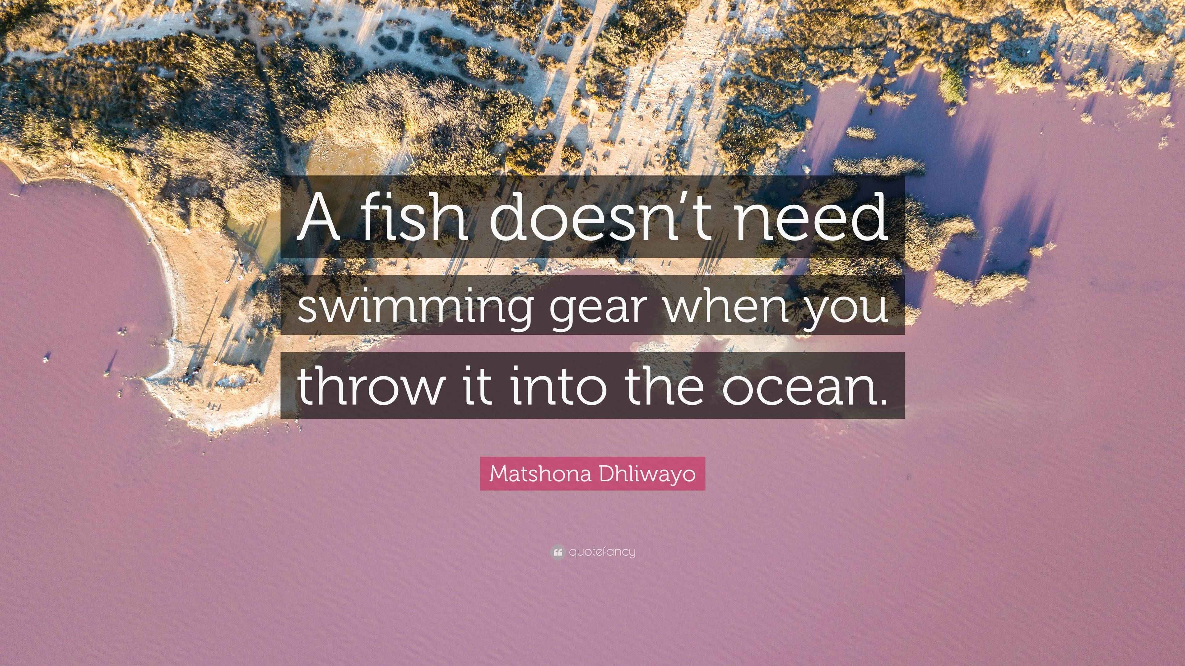 Matshona Dhliwayo Quote: “A fish doesn’t need swimming gear when you ...