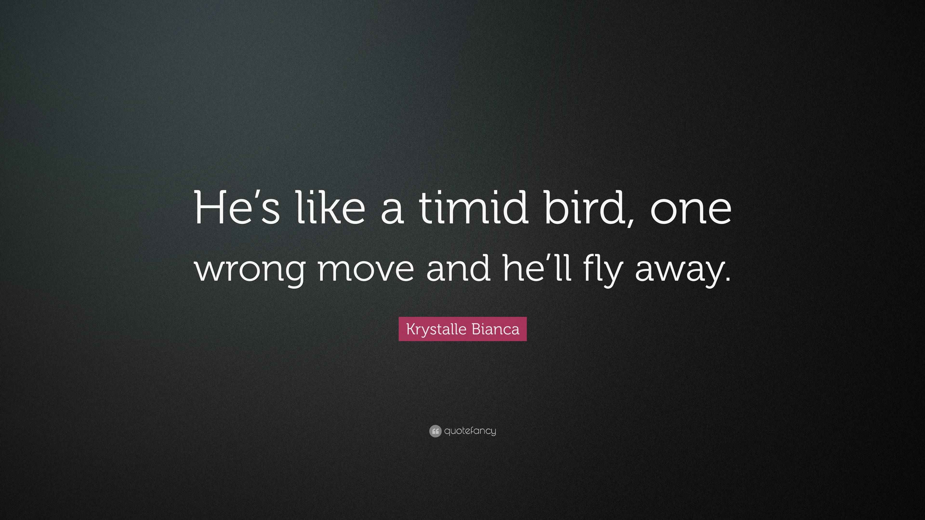 Krystalle Bianca Quote: “He’s like a timid bird, one wrong move and he ...