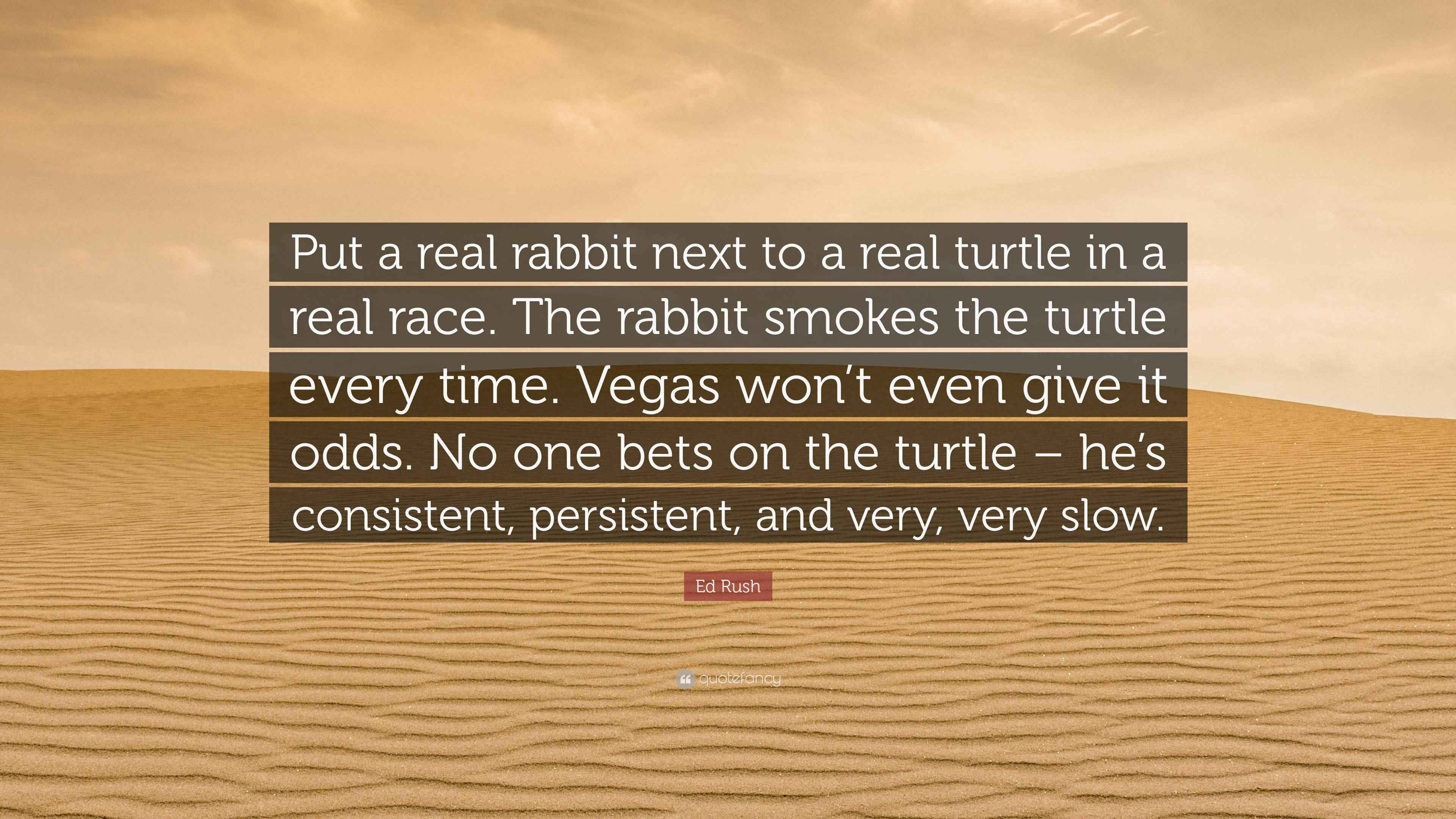Ed Rush Quote: “Put a real rabbit next to a real turtle in a real race ...