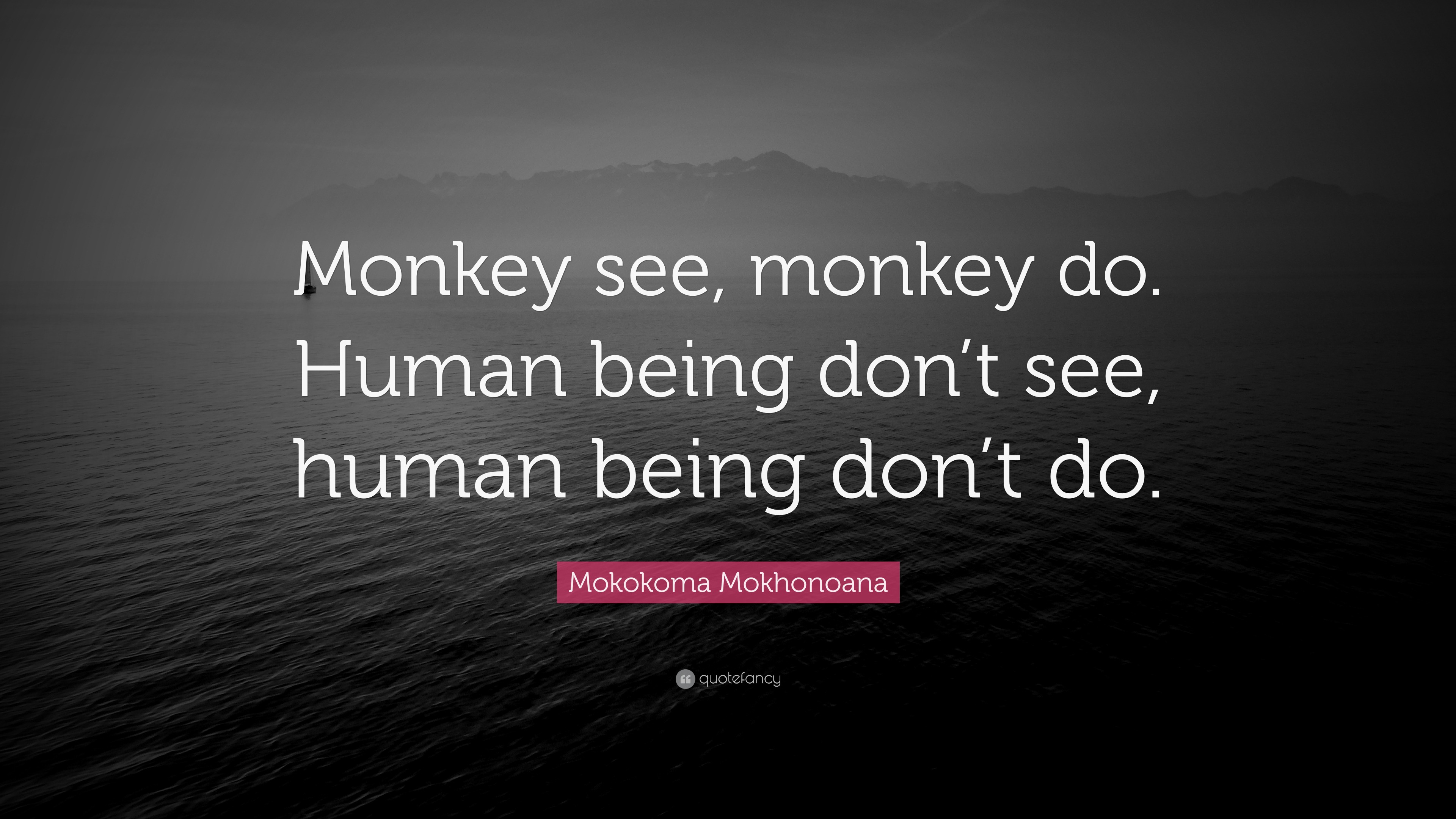 Mokokoma Mokhonoana Quote: “Monkey see, monkey do. Human being don’t ...