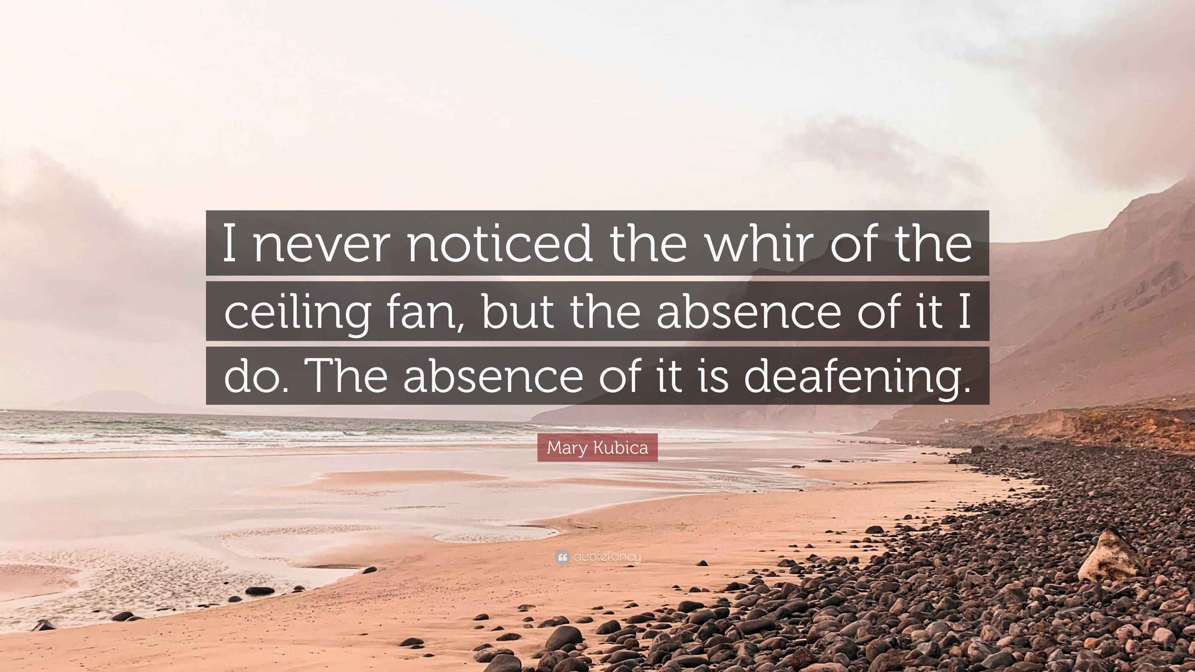 Mary Kubica Quote: “I never noticed the whir of the ceiling fan, but ...