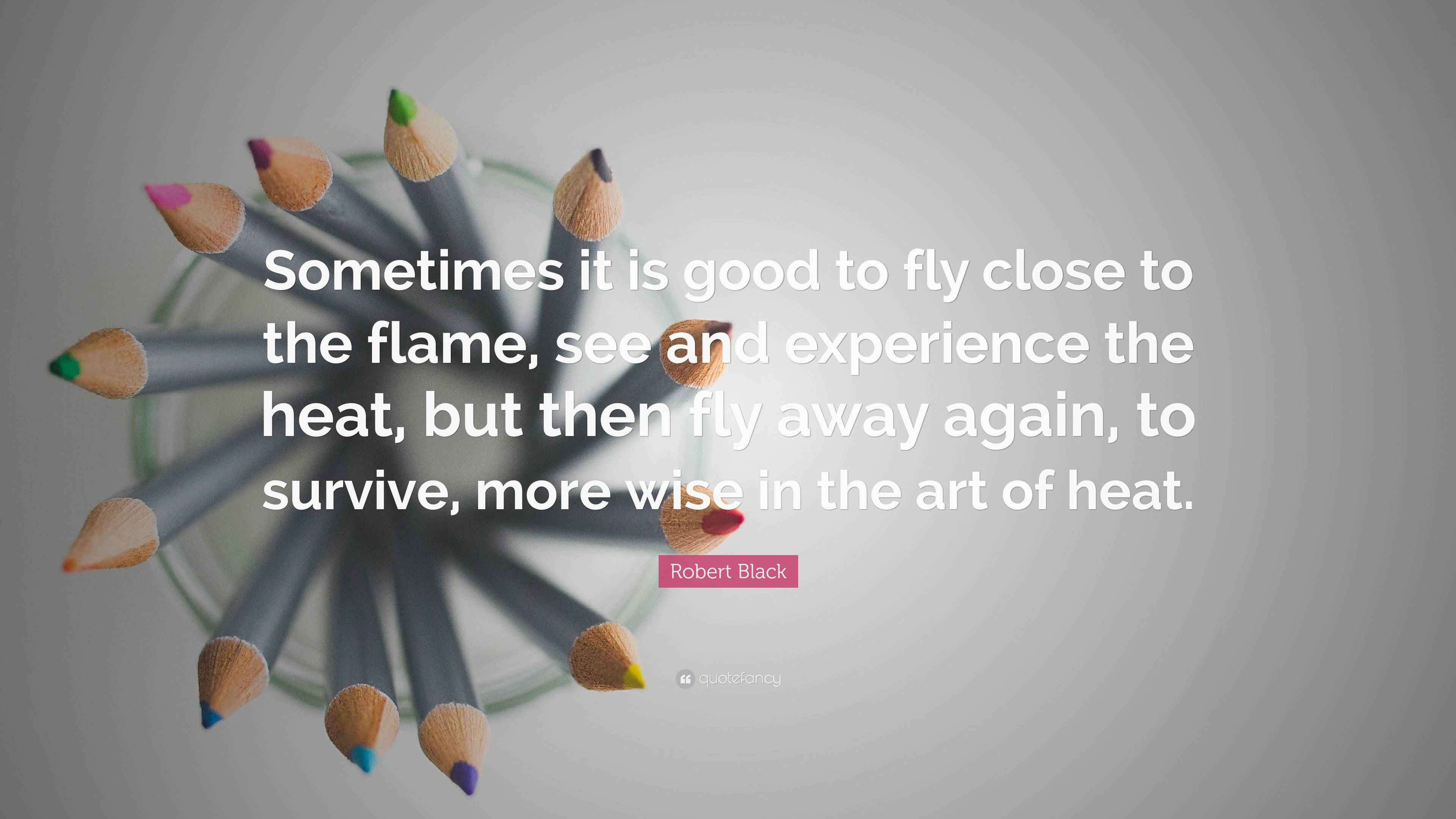 Robert Black Quote: “Sometimes it is good to fly close to the flame ...