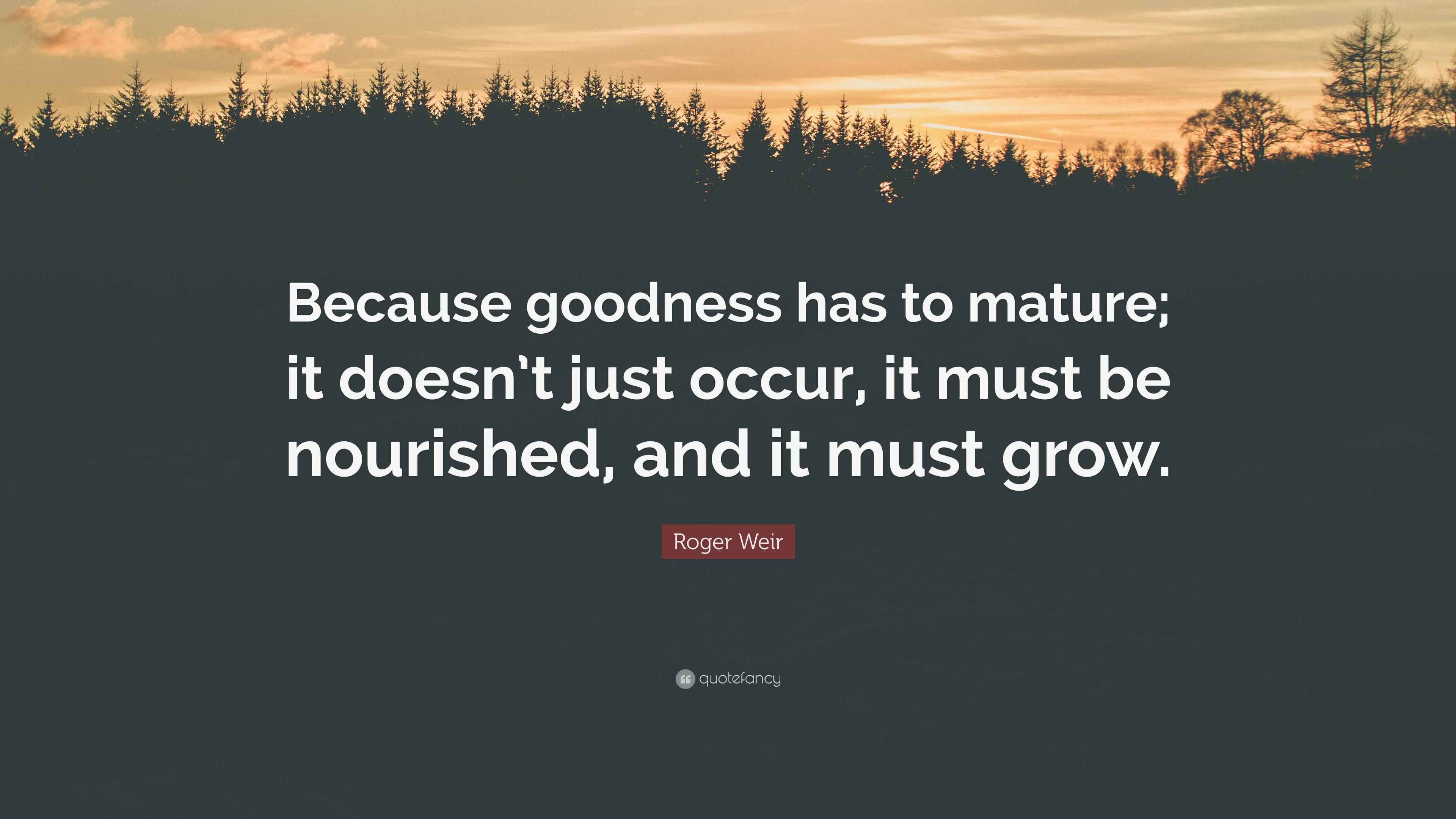 Roger Weir Quote: “Because goodness has to mature; it doesn’t just ...