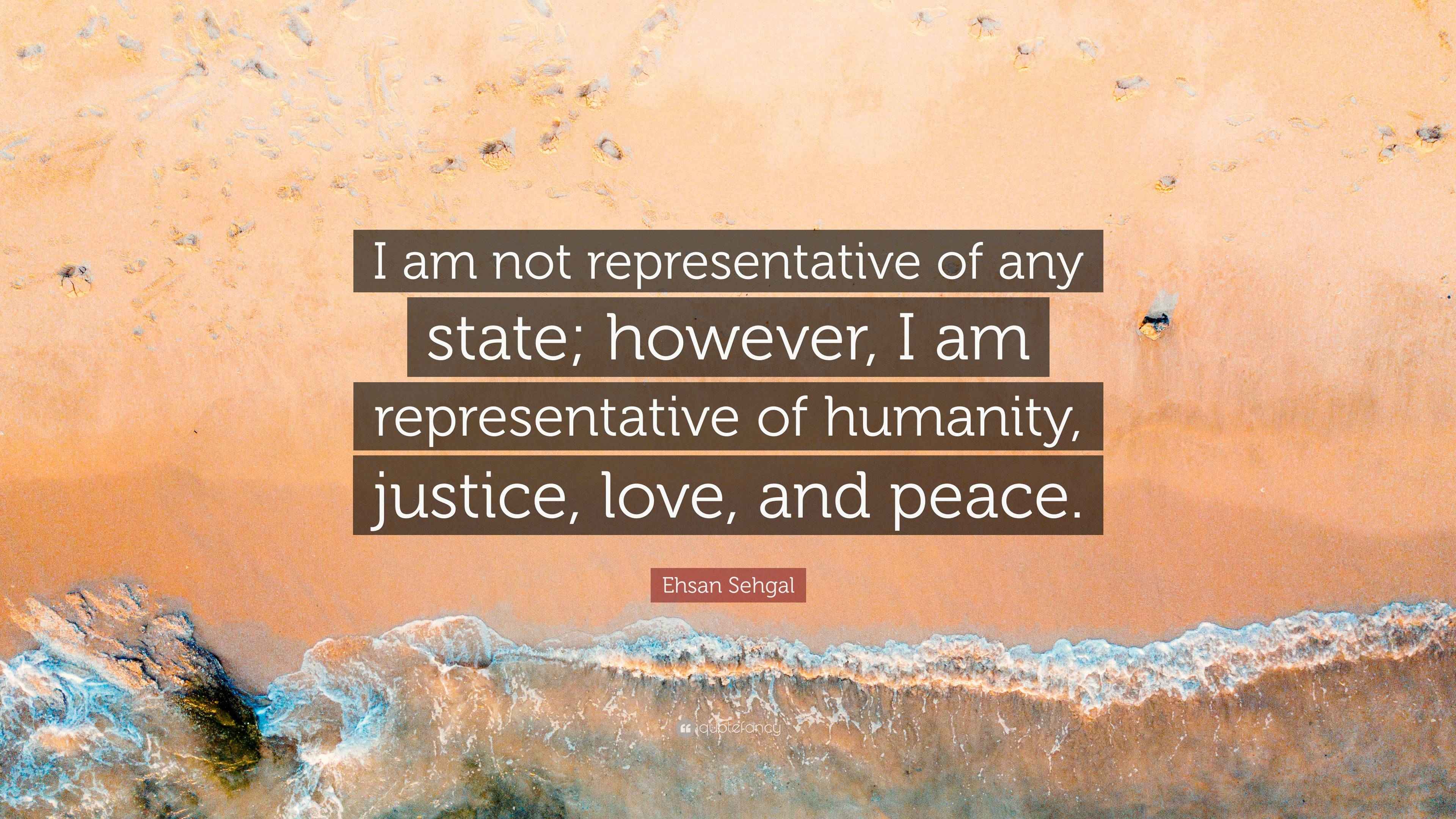 Ehsan Sehgal Quote: “I am not representative of any state; however, I ...