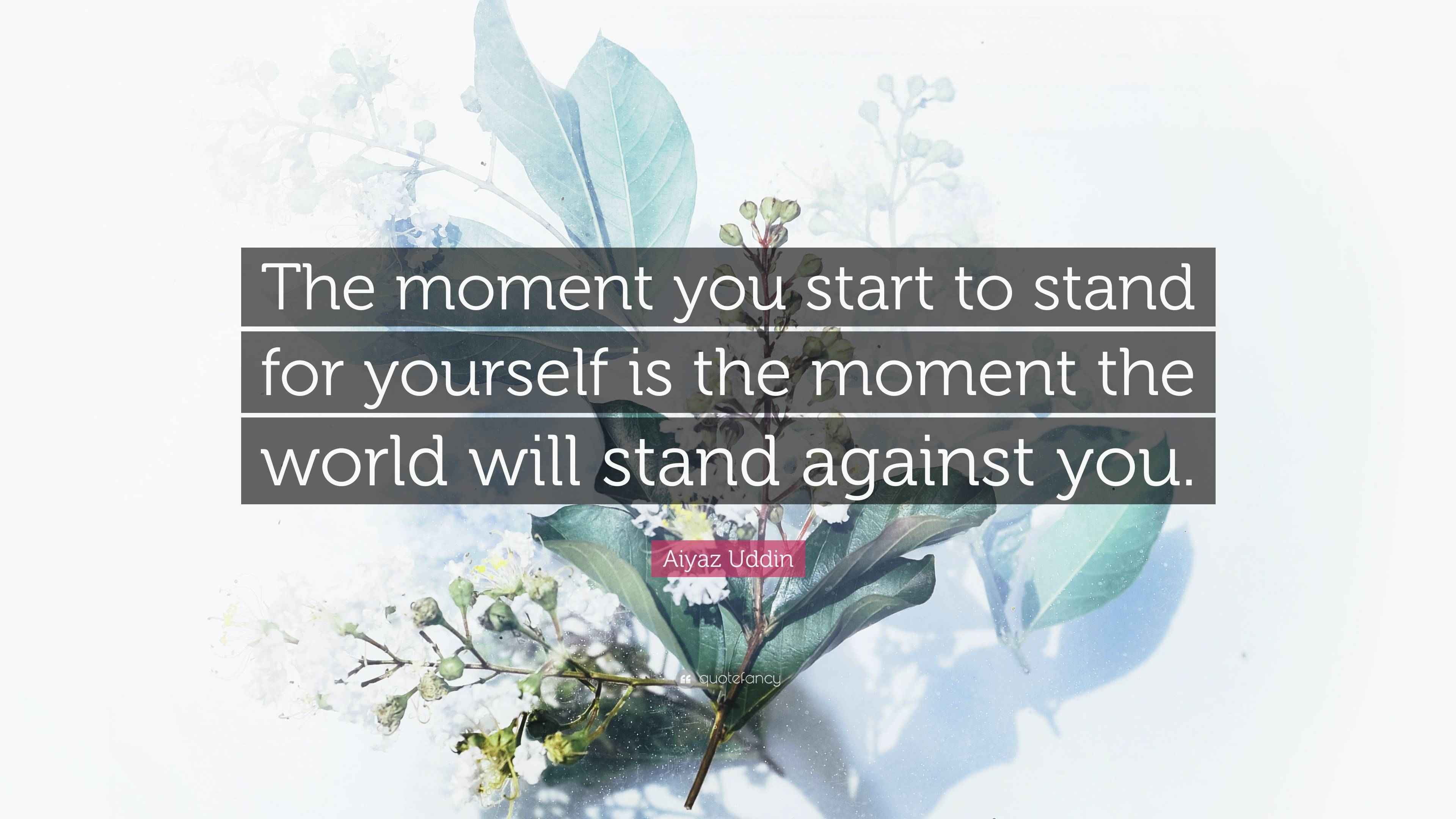 Aiyaz Uddin Quote: “The moment you start to stand for yourself is the ...