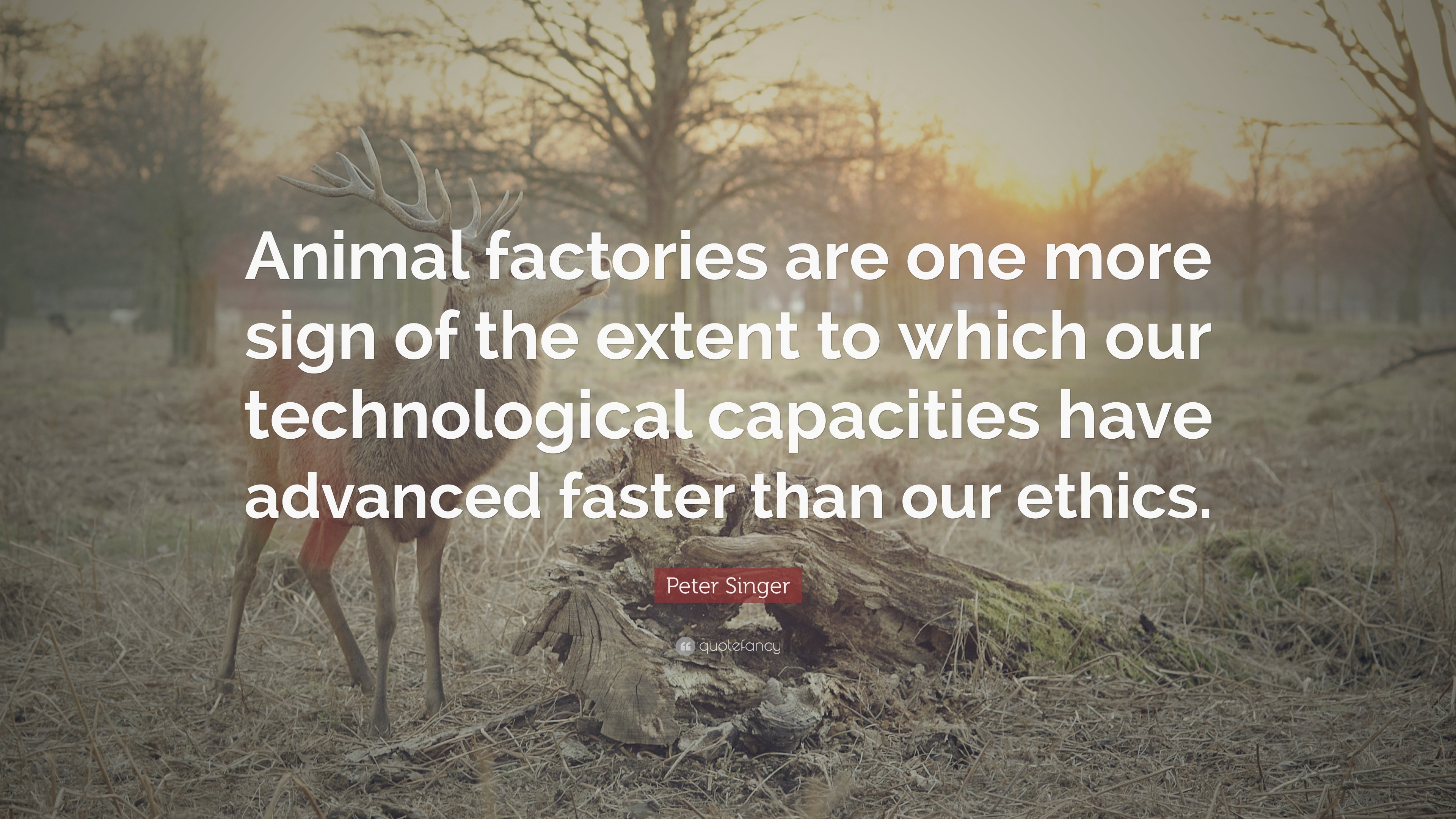 Peter Singer Quote: “Animal factories are one more sign of the extent ...