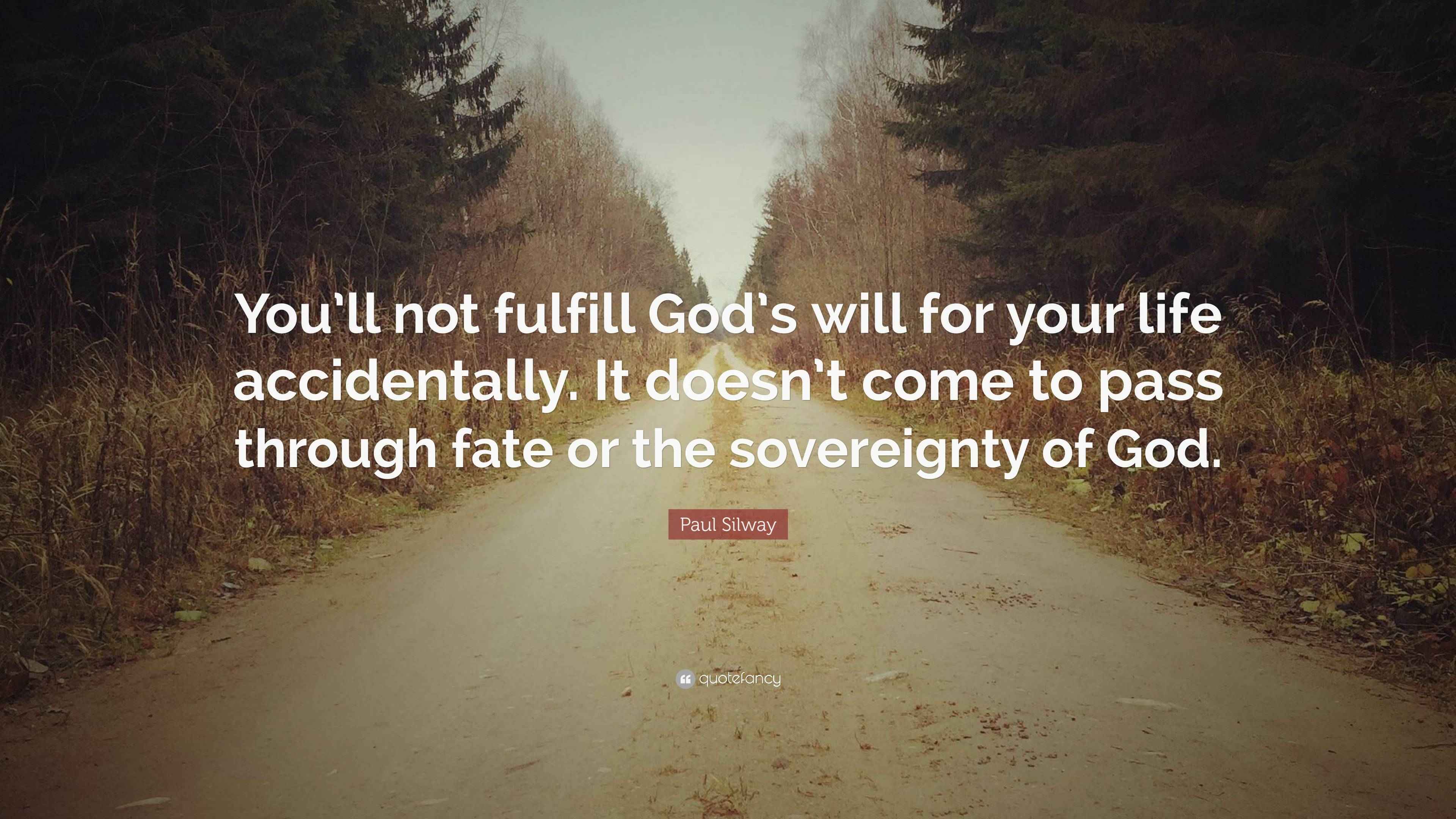 Paul Silway Quote: “You’ll not fulfill God’s will for your life ...
