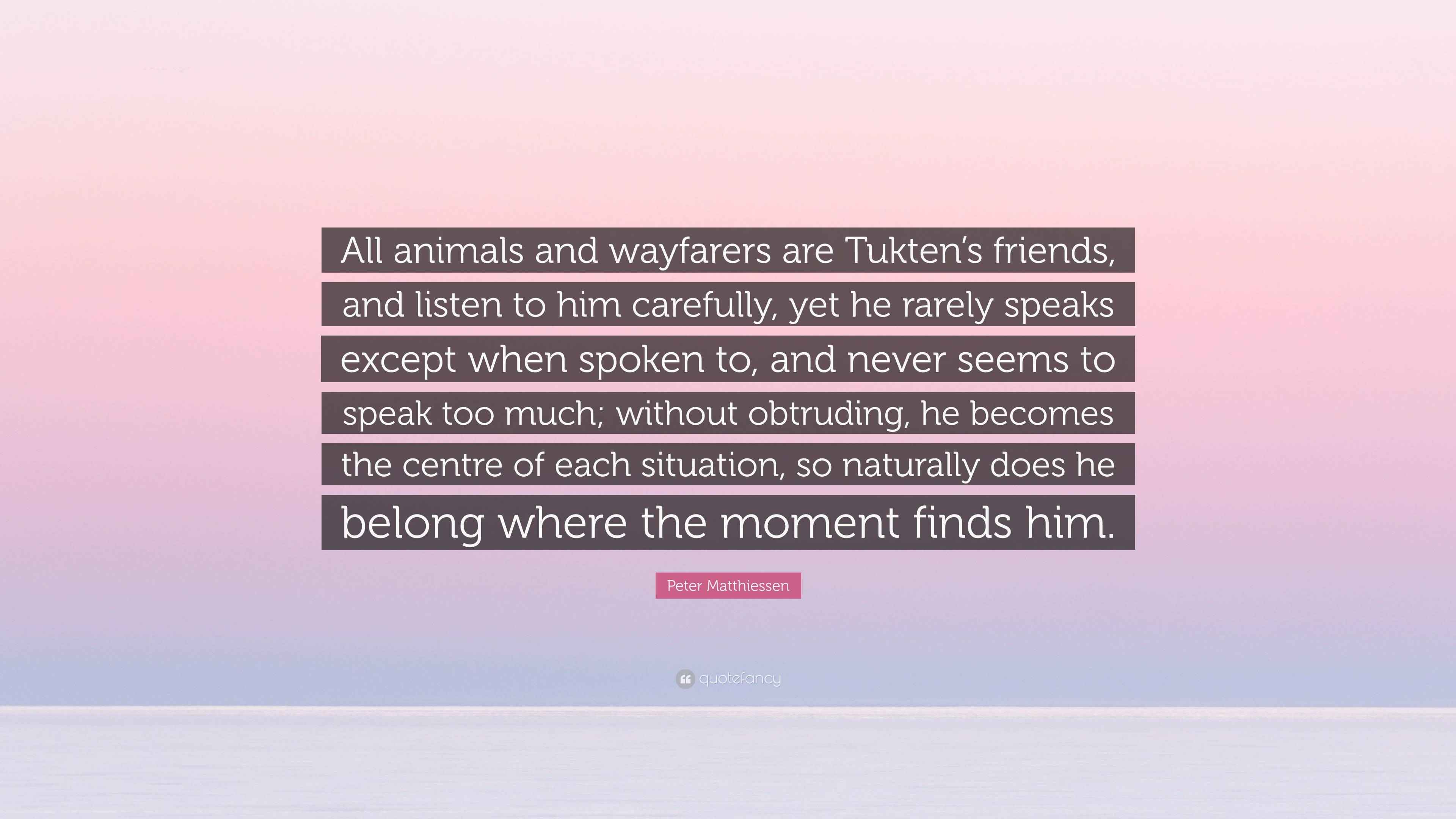 Peter Matthiessen Quote: “All animals and wayfarers are Tukten’s ...
