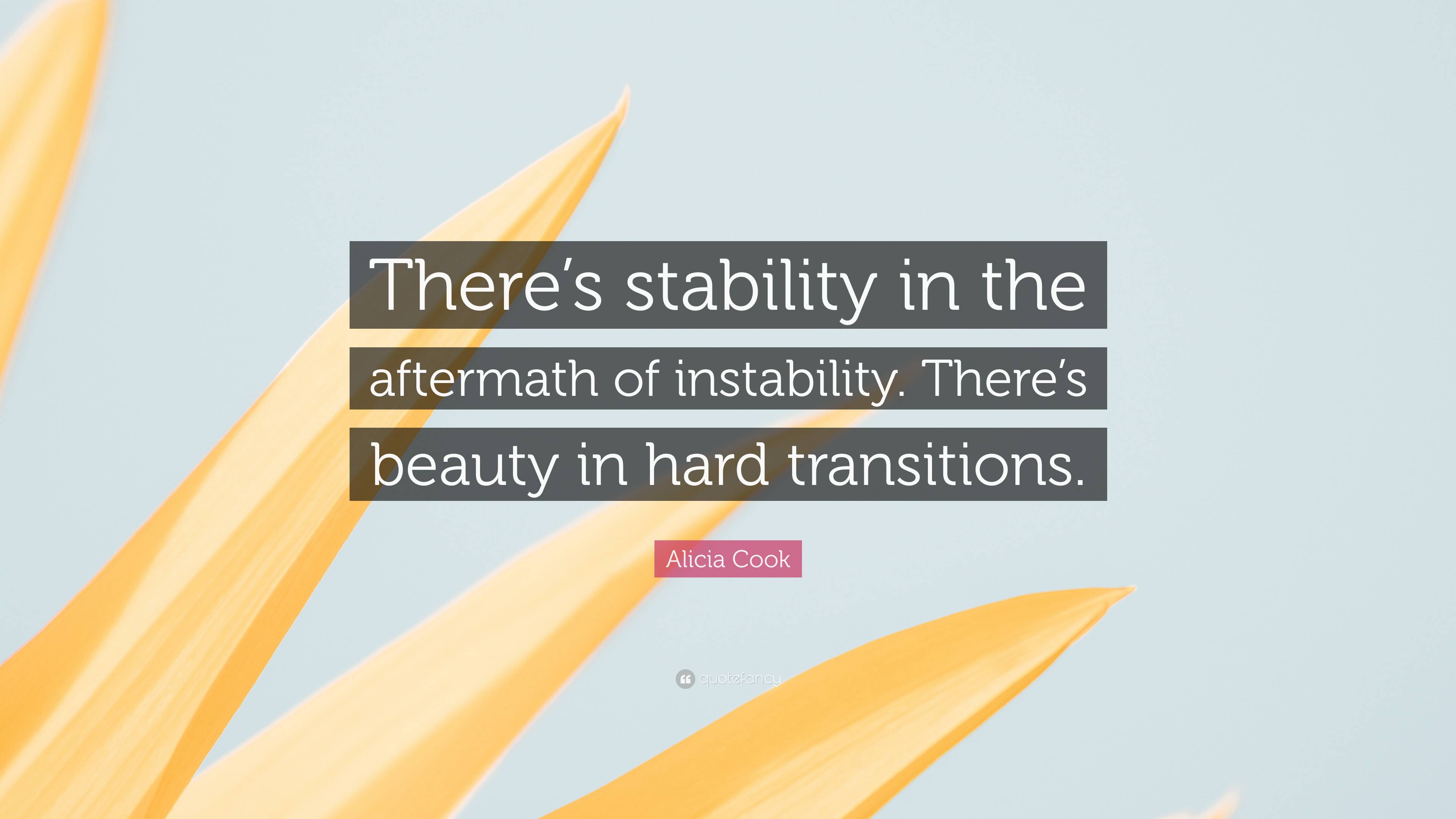 Alicia Cook Quote: “There’s stability in the aftermath of instability ...