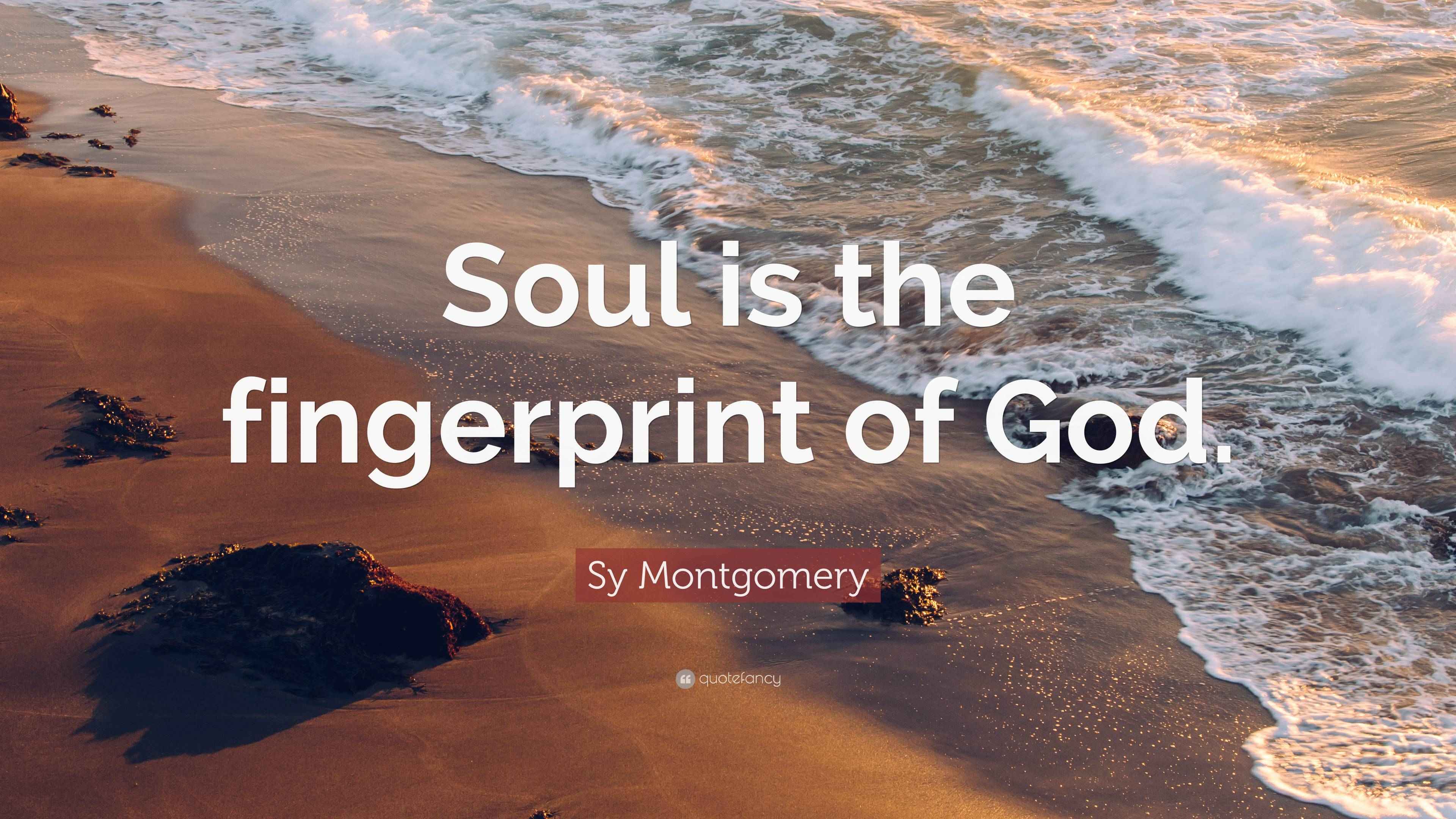 Sy Montgomery Quote: “Soul is the fingerprint of God.”