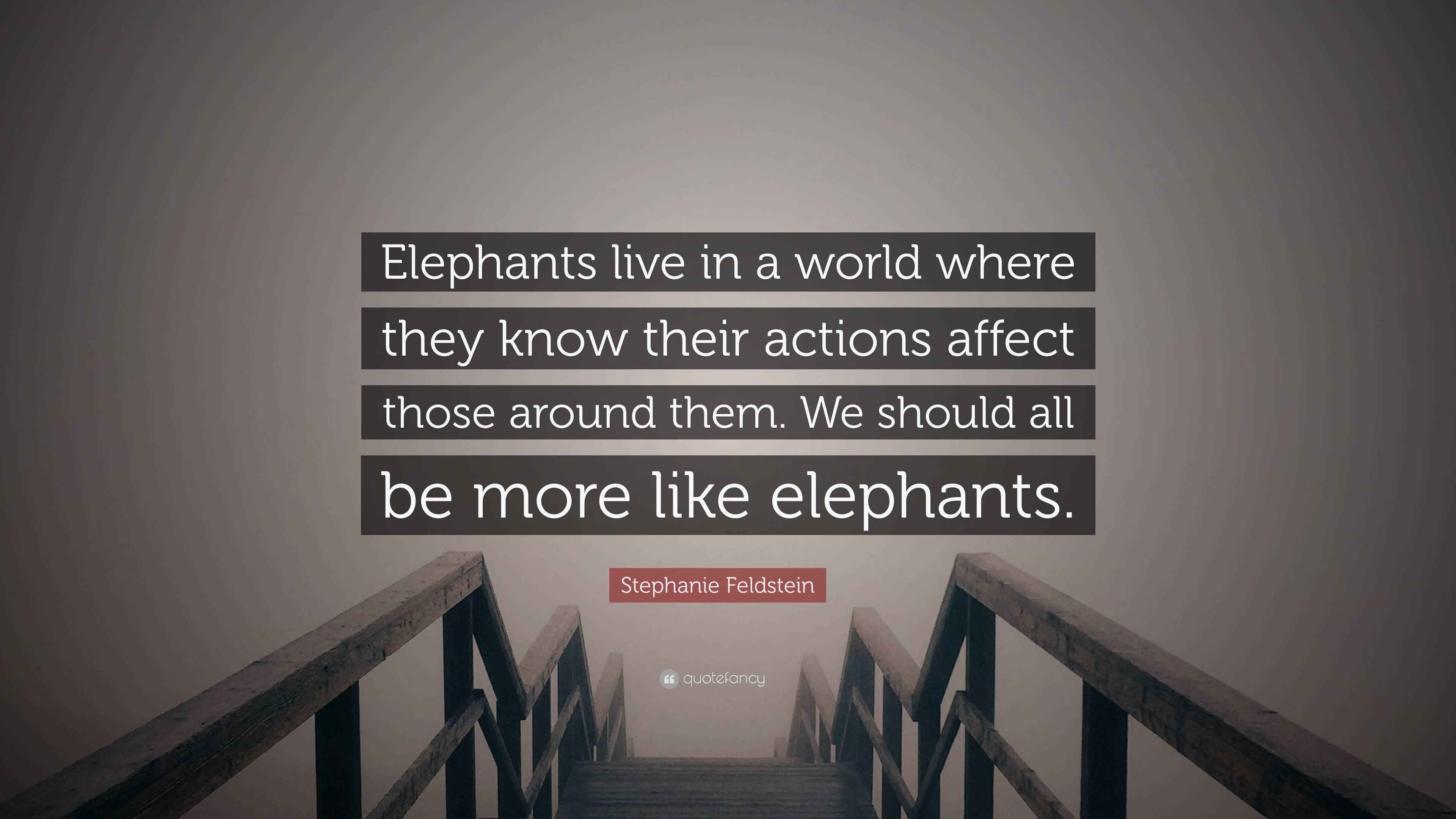 Stephanie Feldstein Quote: “Elephants live in a world where they know ...