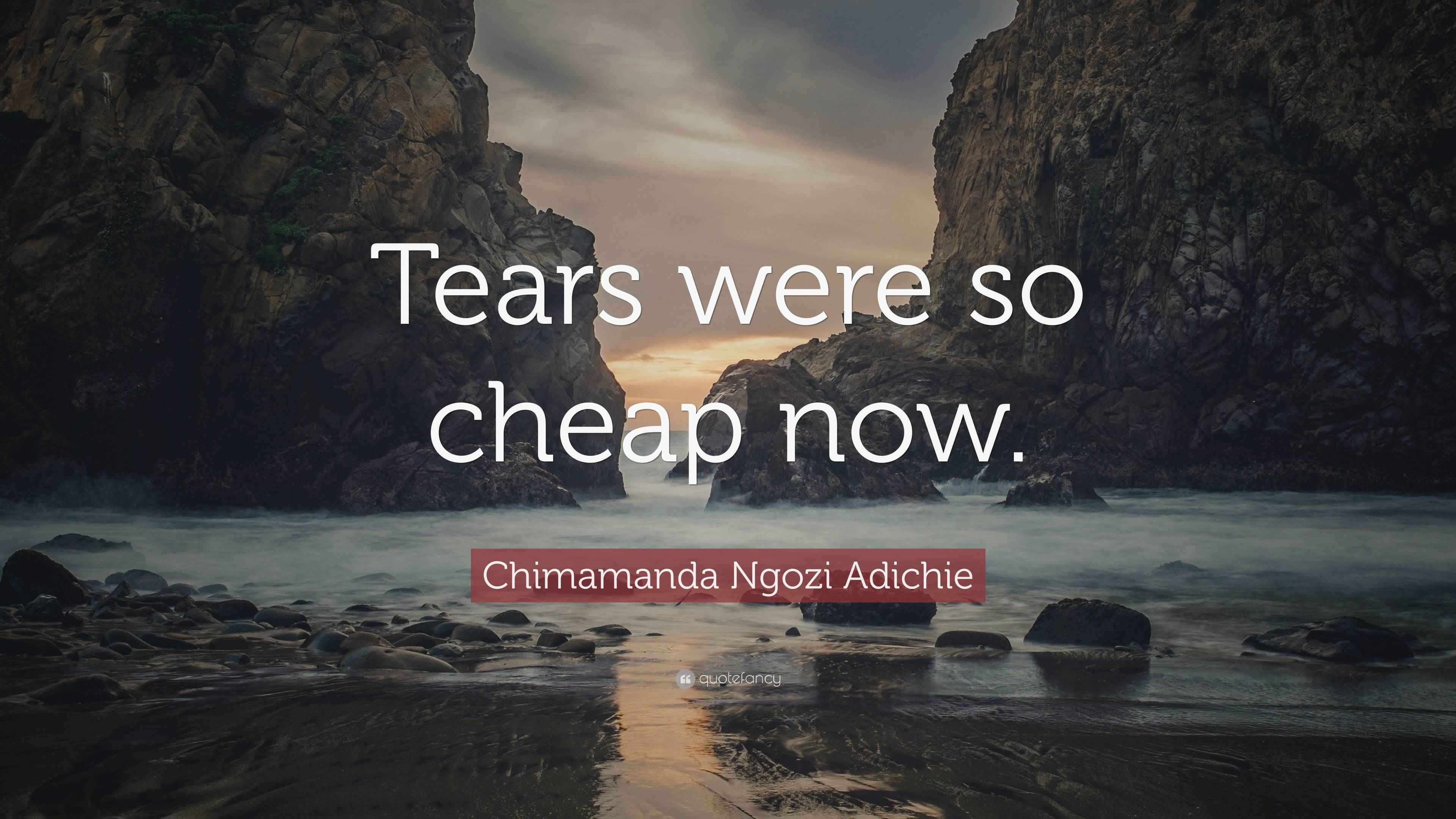Chimamanda Ngozi Adichie Quote: “Tears were so cheap now.”