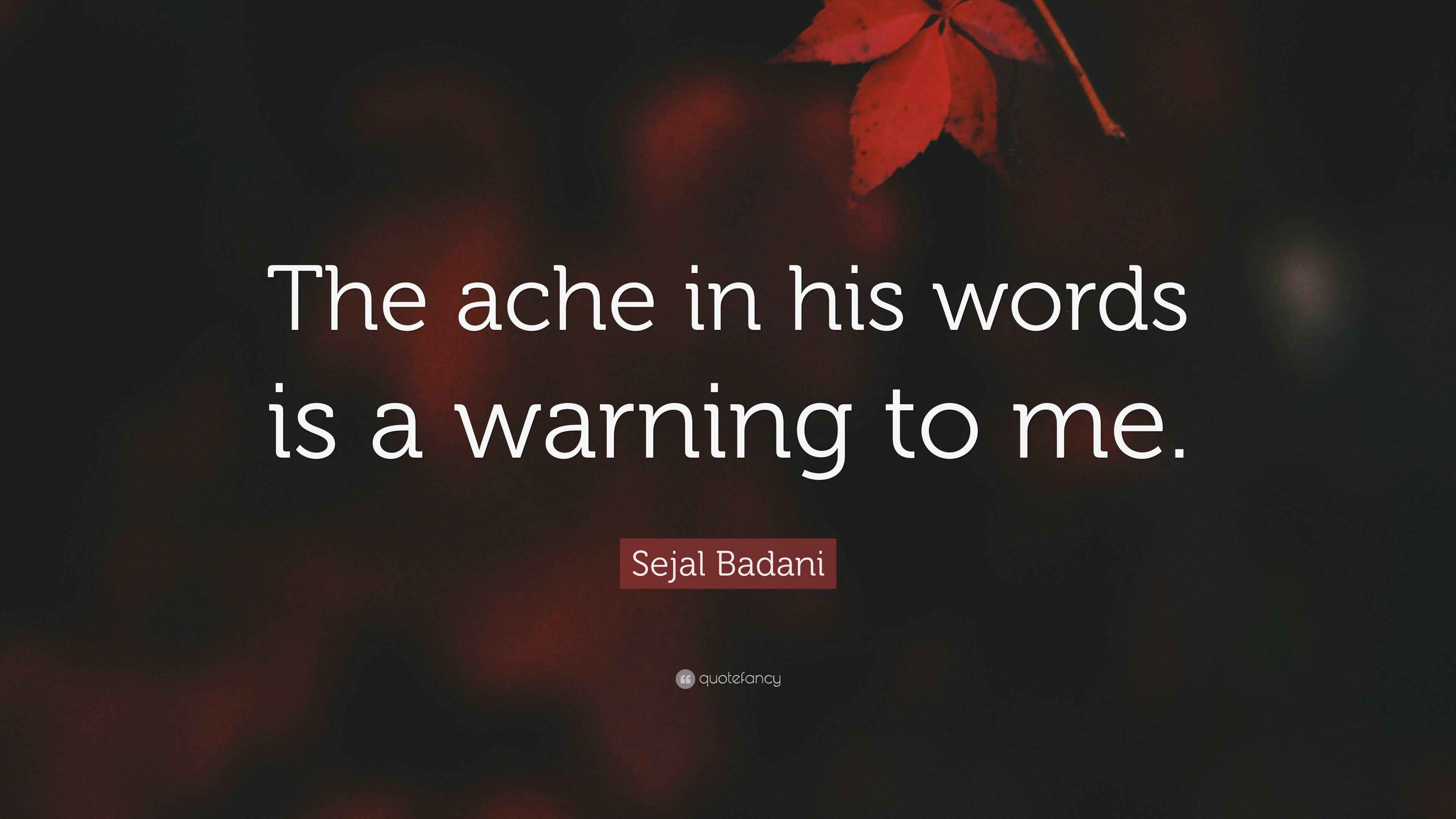 Sejal Badani Quote: “The ache in his words is a warning to me.”