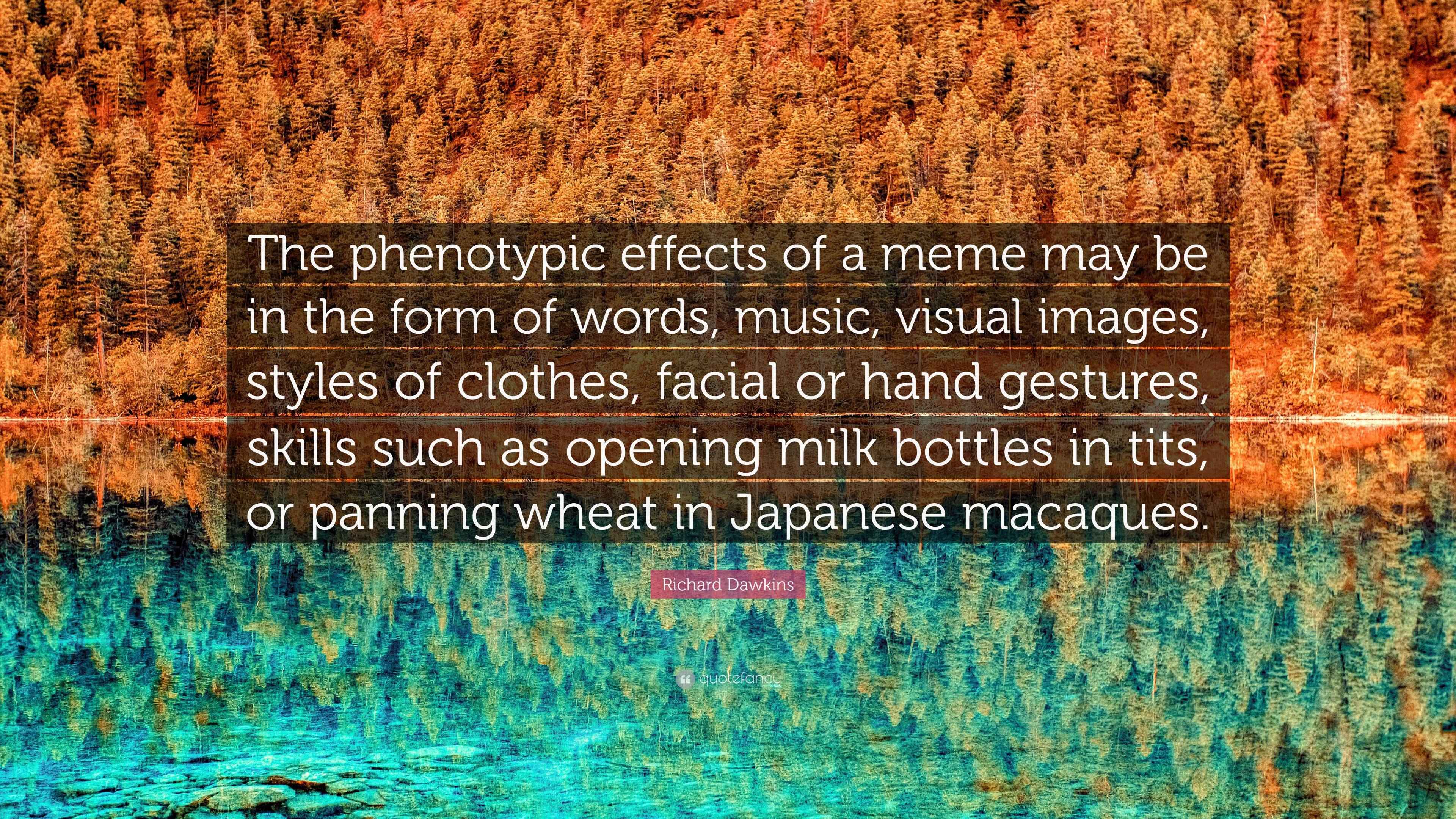Richard Dawkins Quote: “The phenotypic effects of a meme may be in the ...