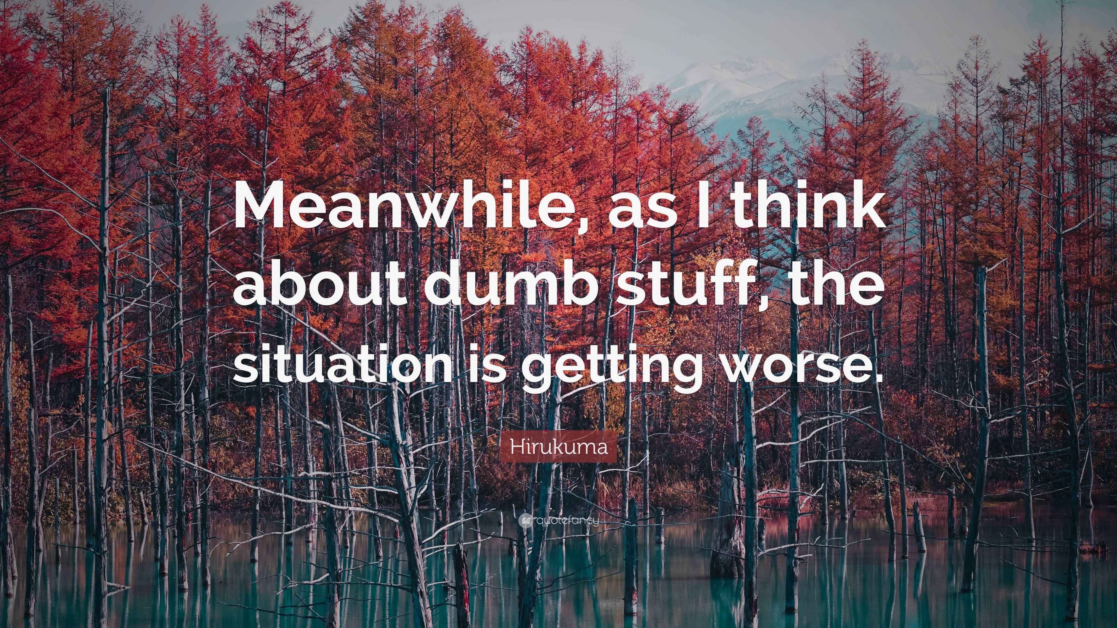 Hirukuma Quote: “Meanwhile, as I think about dumb stuff, the situation ...