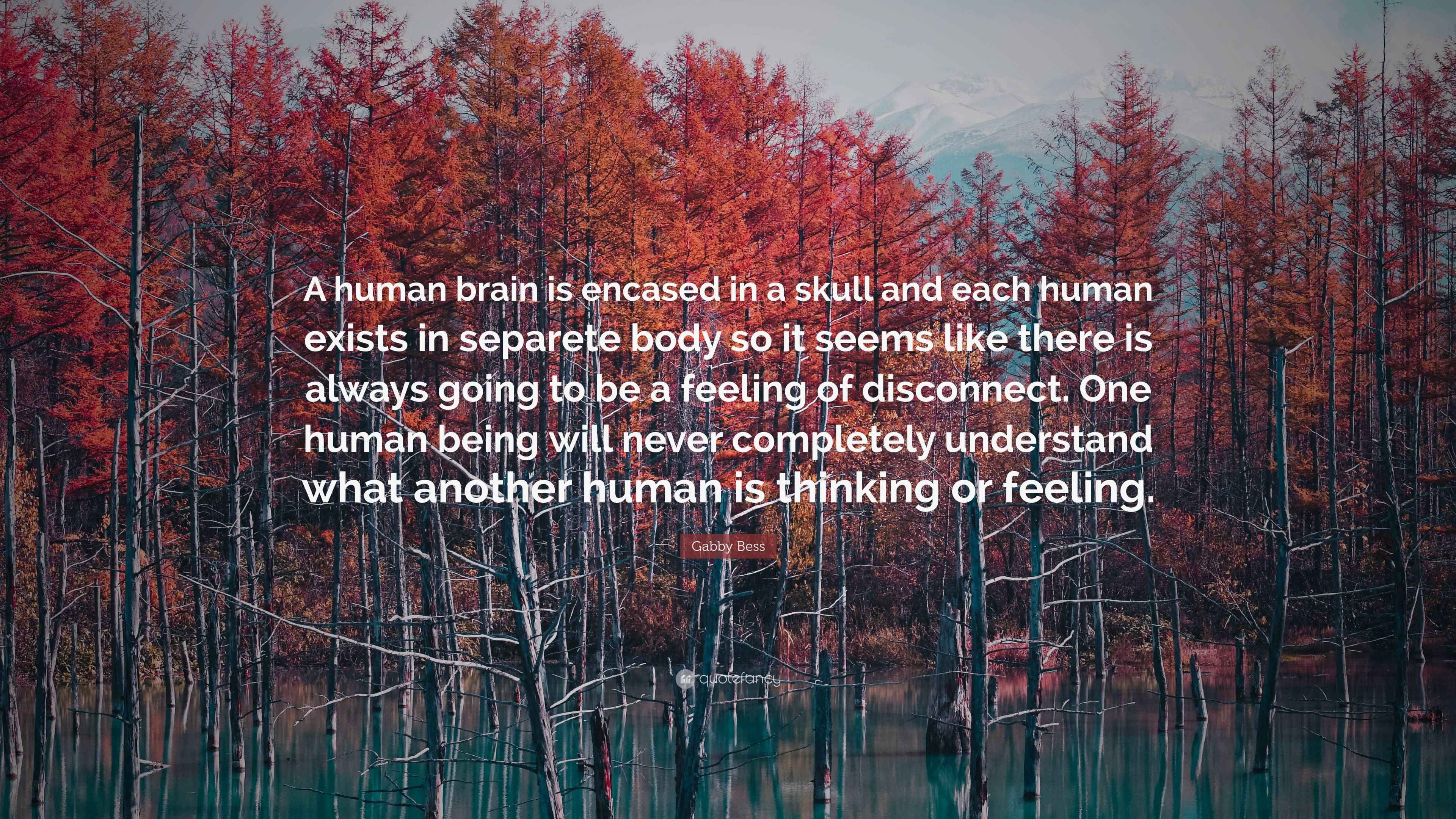 Gabby Bess Quote: “A human brain is encased in a skull and each human ...