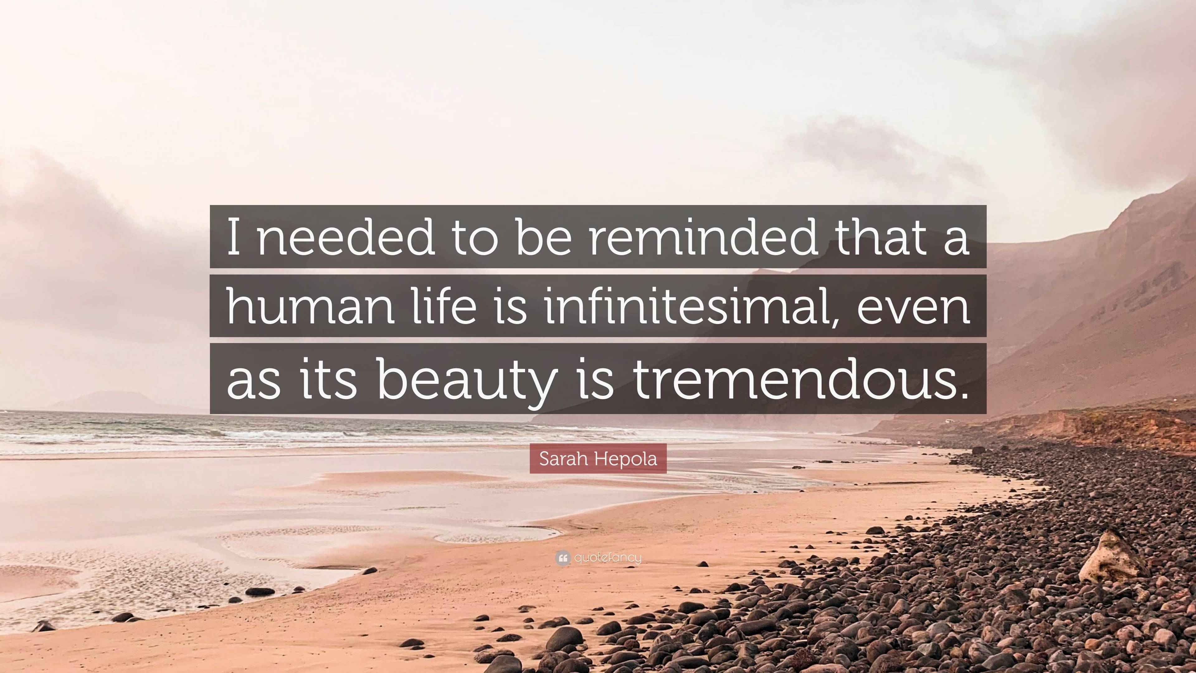 Sarah Hepola Quote: “I needed to be reminded that a human life is ...