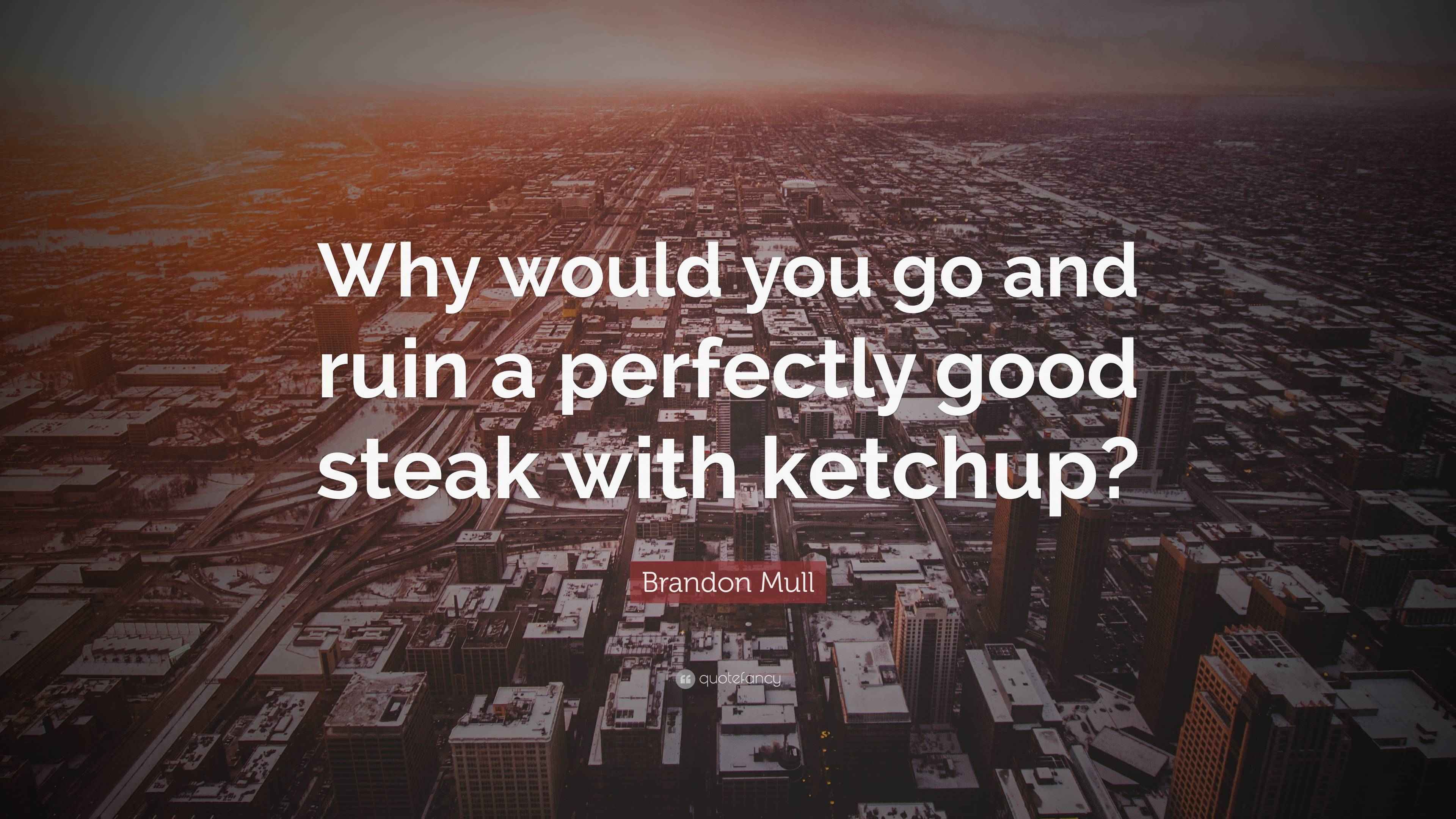 Brandon Mull Quote: “Why would you go and ruin a perfectly good steak ...