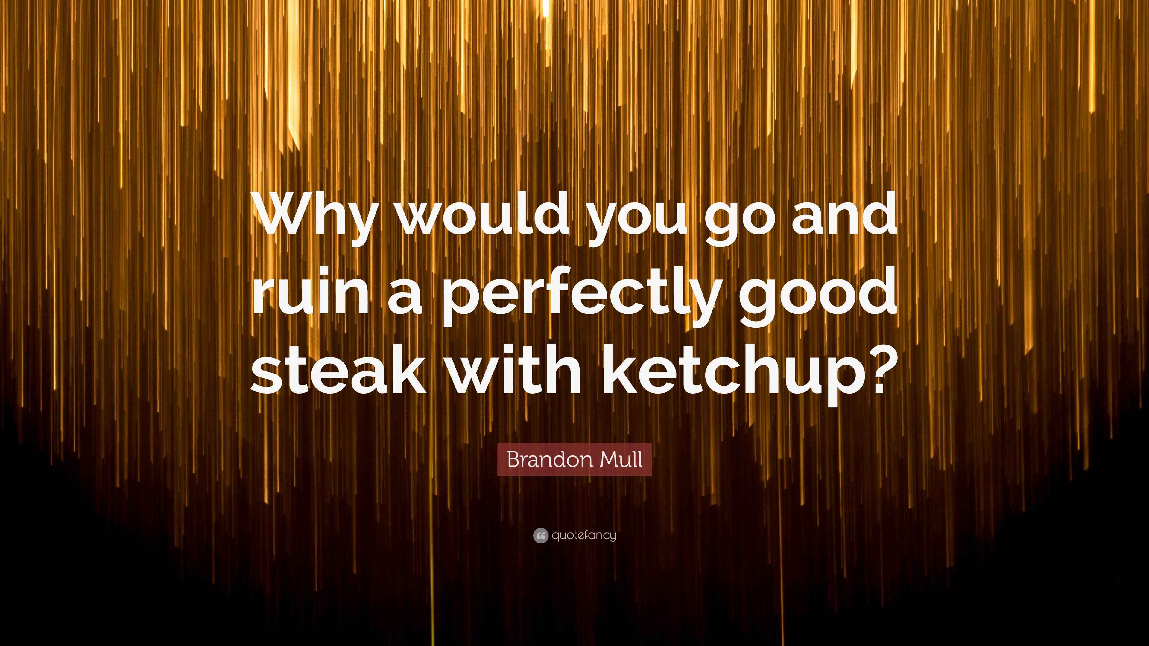 Brandon Mull Quote: “Why would you go and ruin a perfectly good steak ...