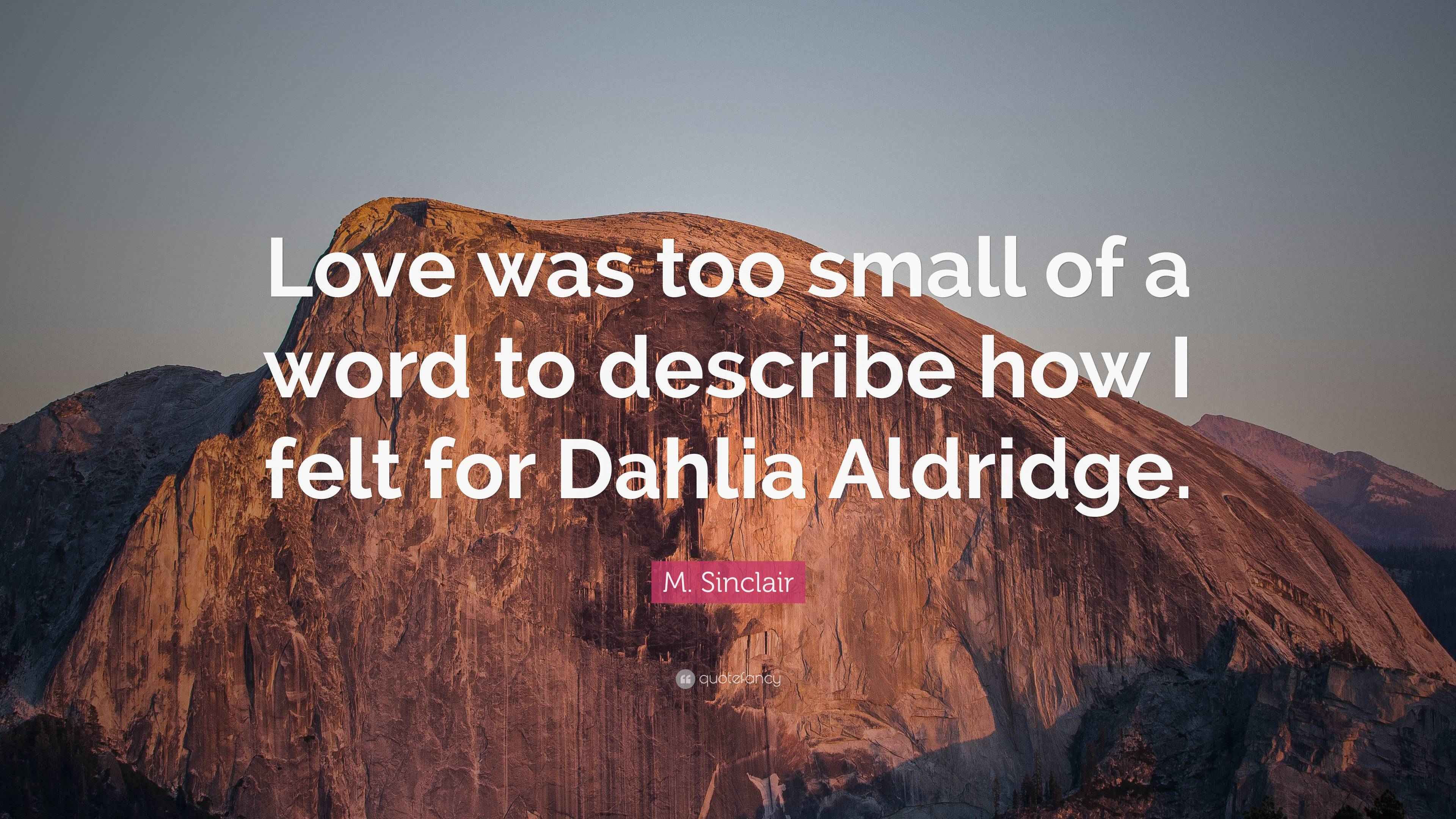 M. Sinclair Quote: “Love was too small of a word to describe how I felt ...