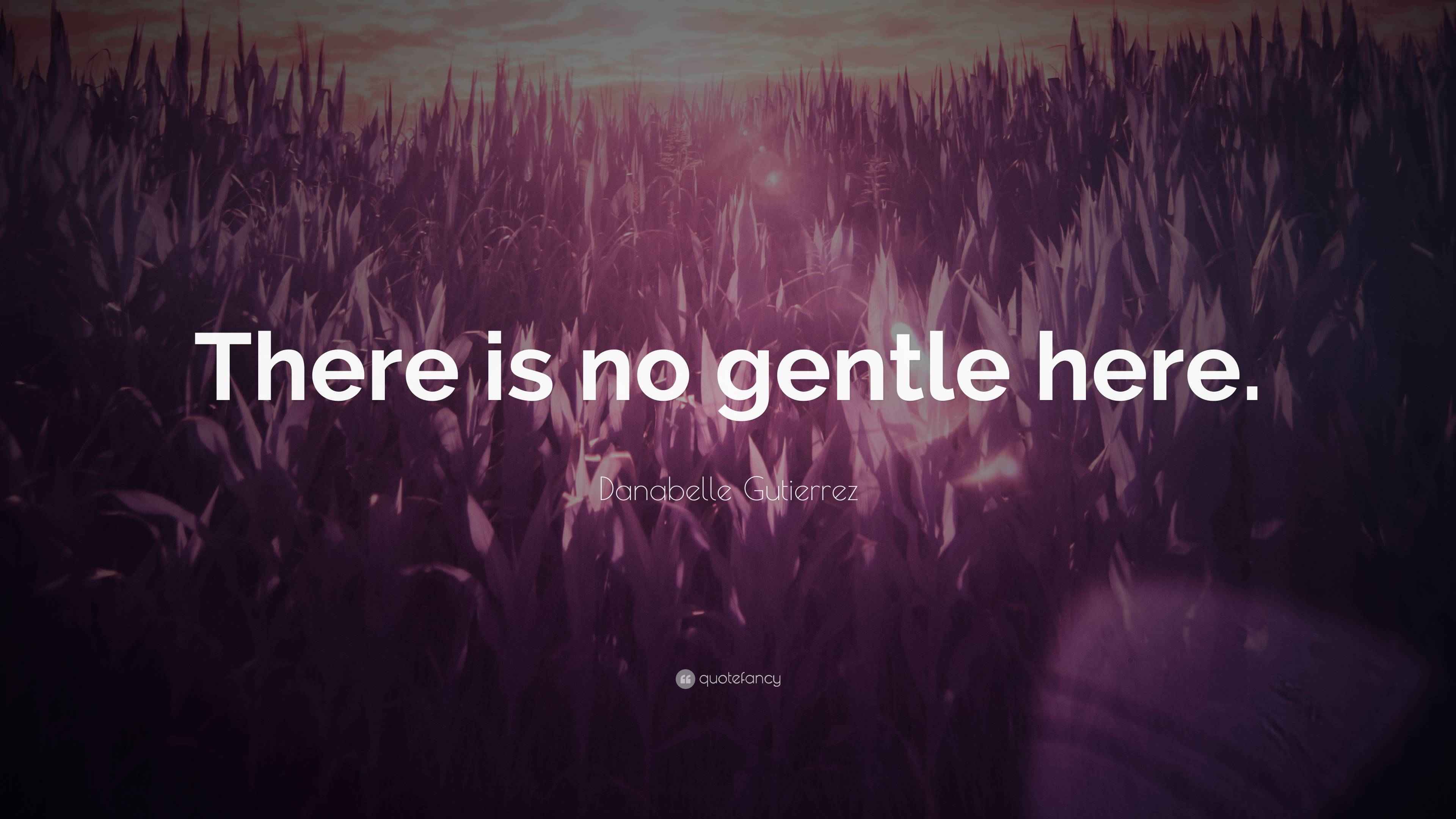 Danabelle Gutierrez Quote: “There is no gentle here.”