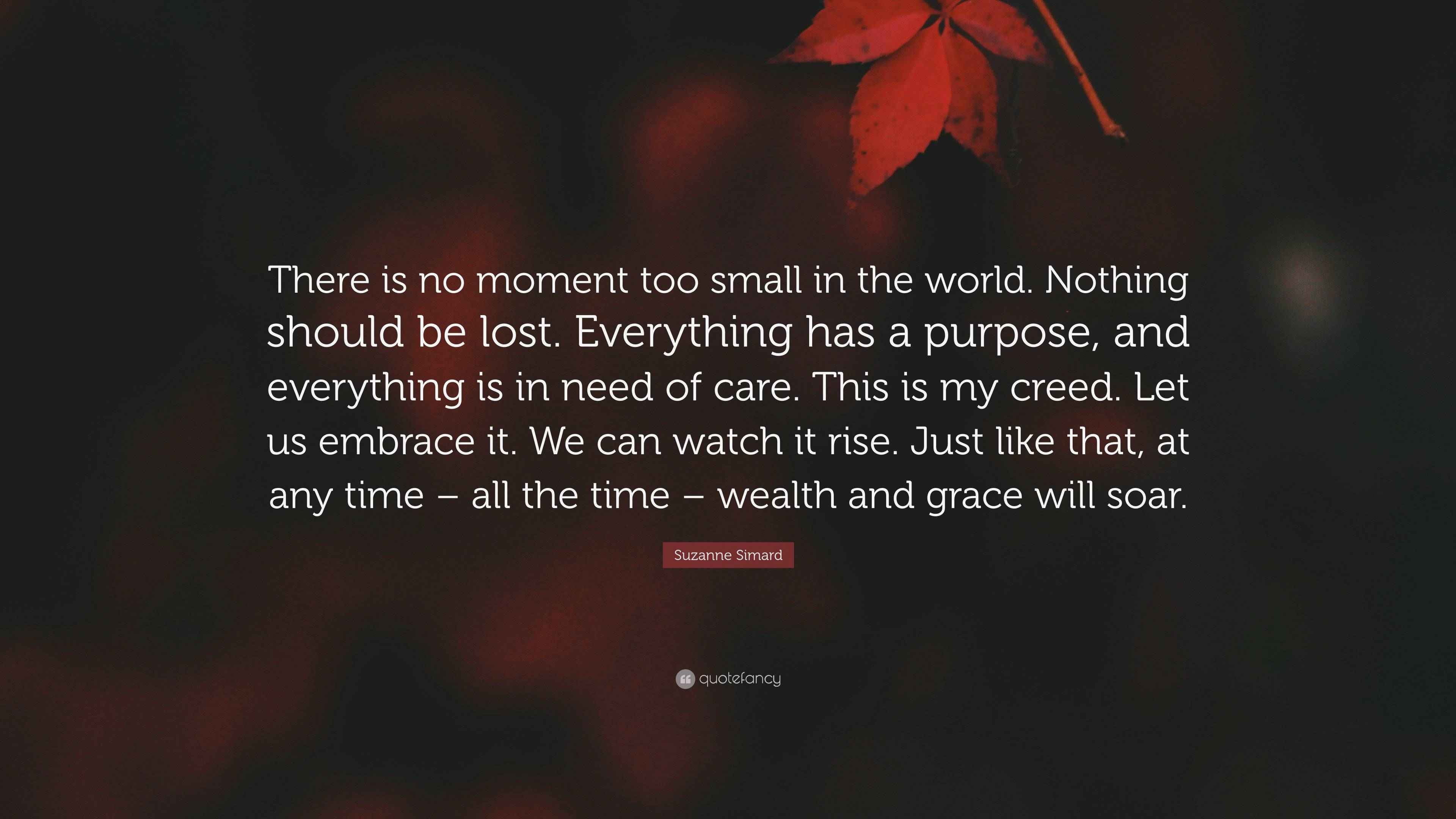 Suzanne Simard Quote: “There is no moment too small in the world ...