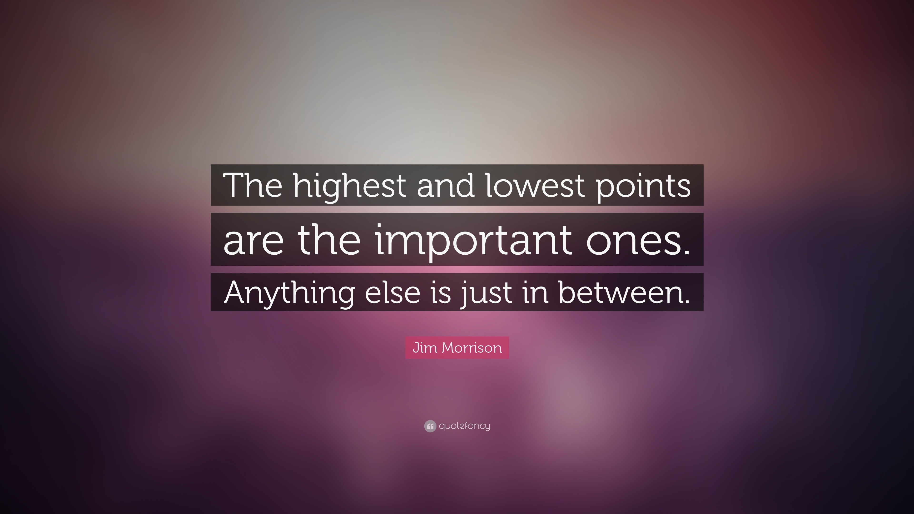 Jim Morrison Quote: “The highest and lowest points are the important ...
